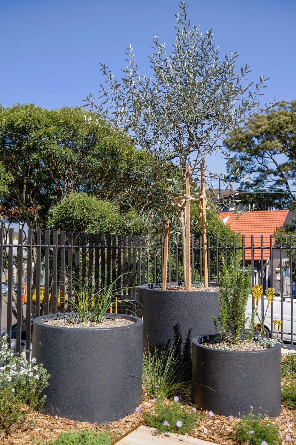 Randwick by BIC Construction | ArchiPro AU