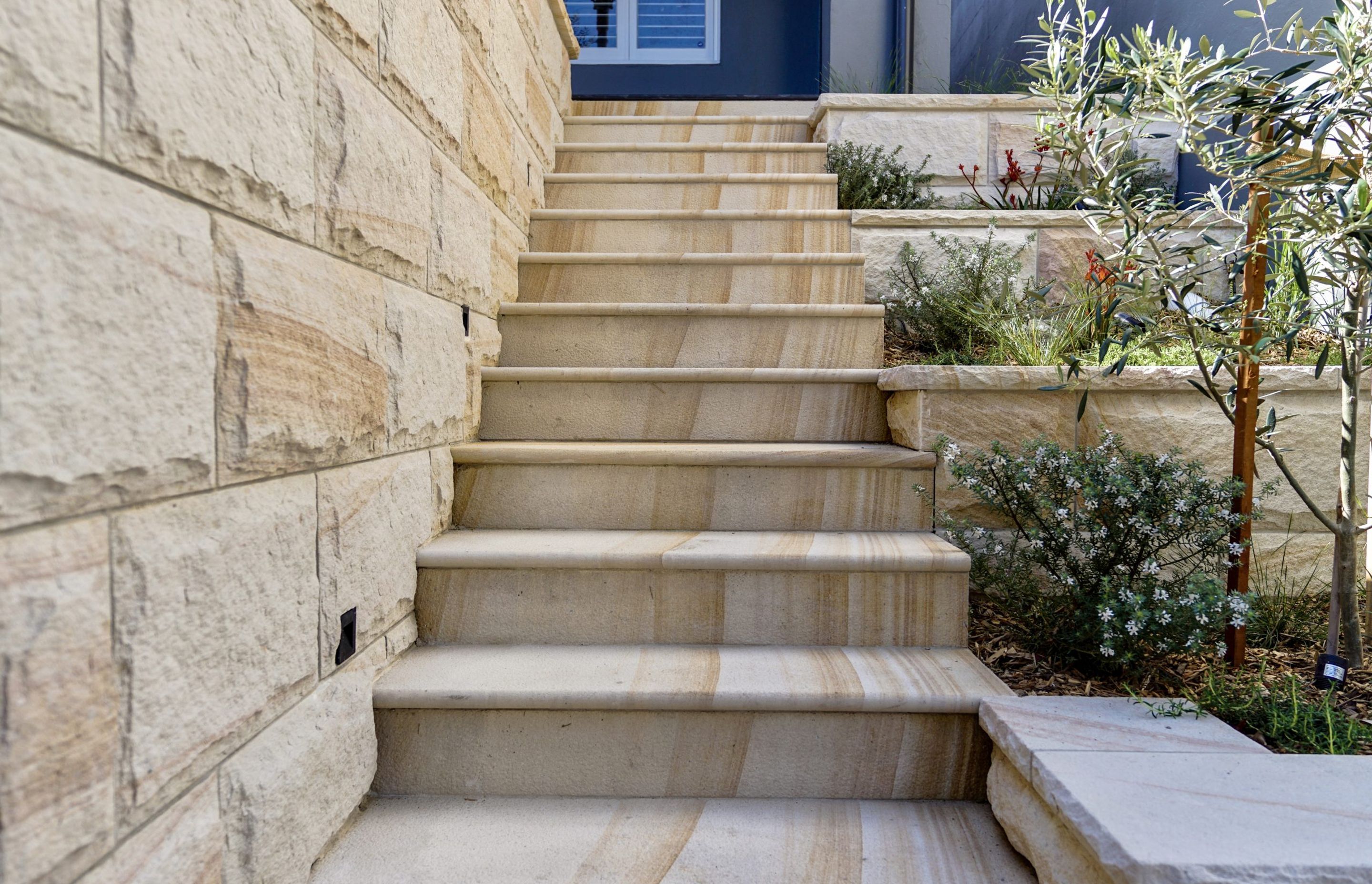 Randwick by BIC Construction | ArchiPro AU