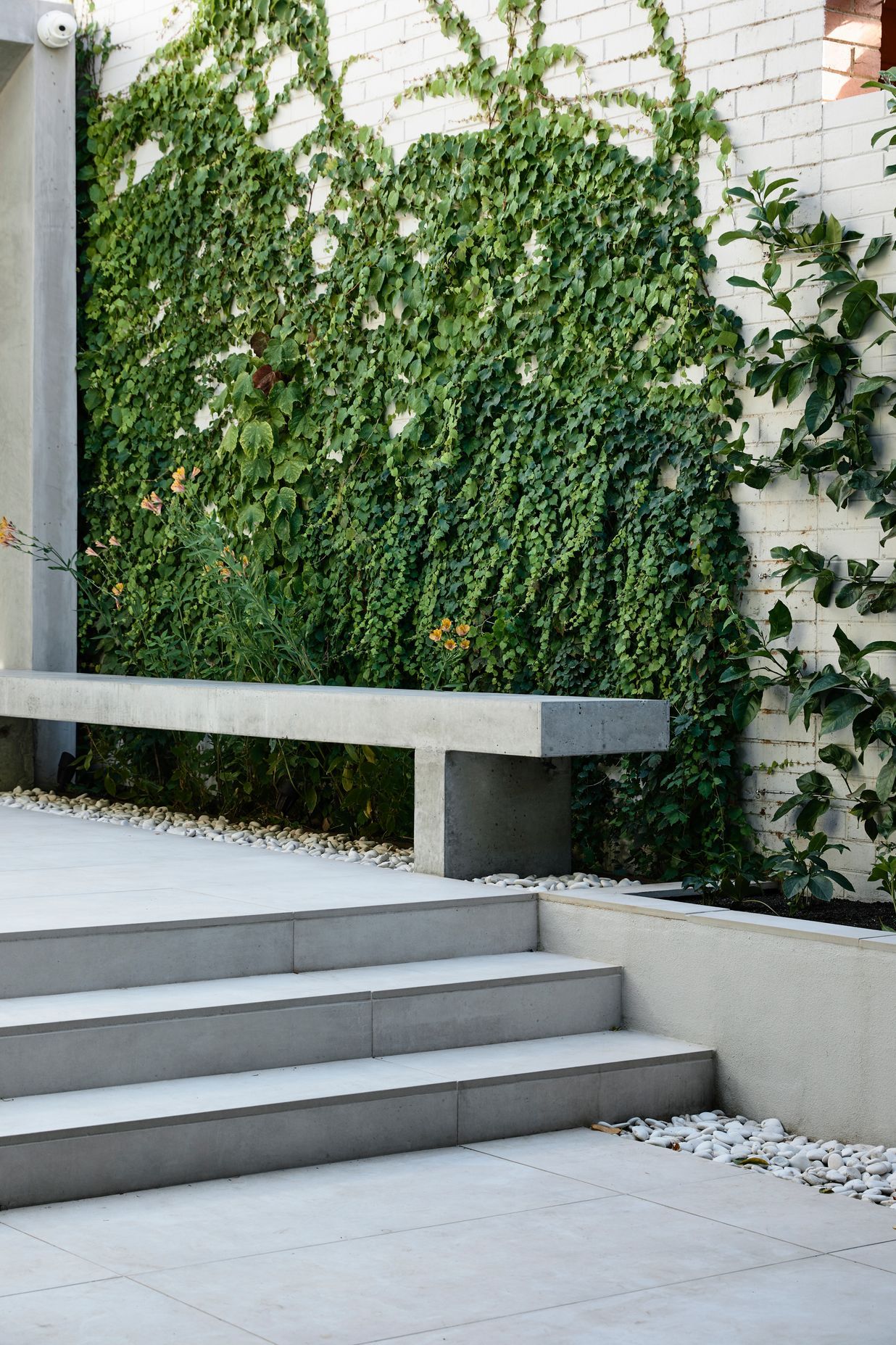 Henry House by WALA | ArchiPro AU