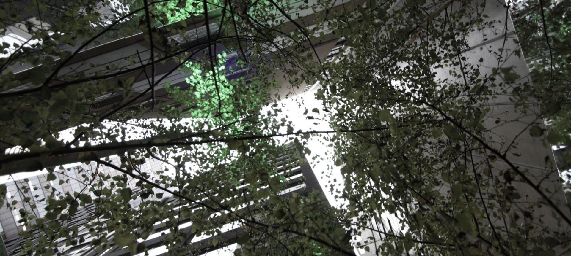 Infinity Forest by Scale Architecture | ArchiPro AU