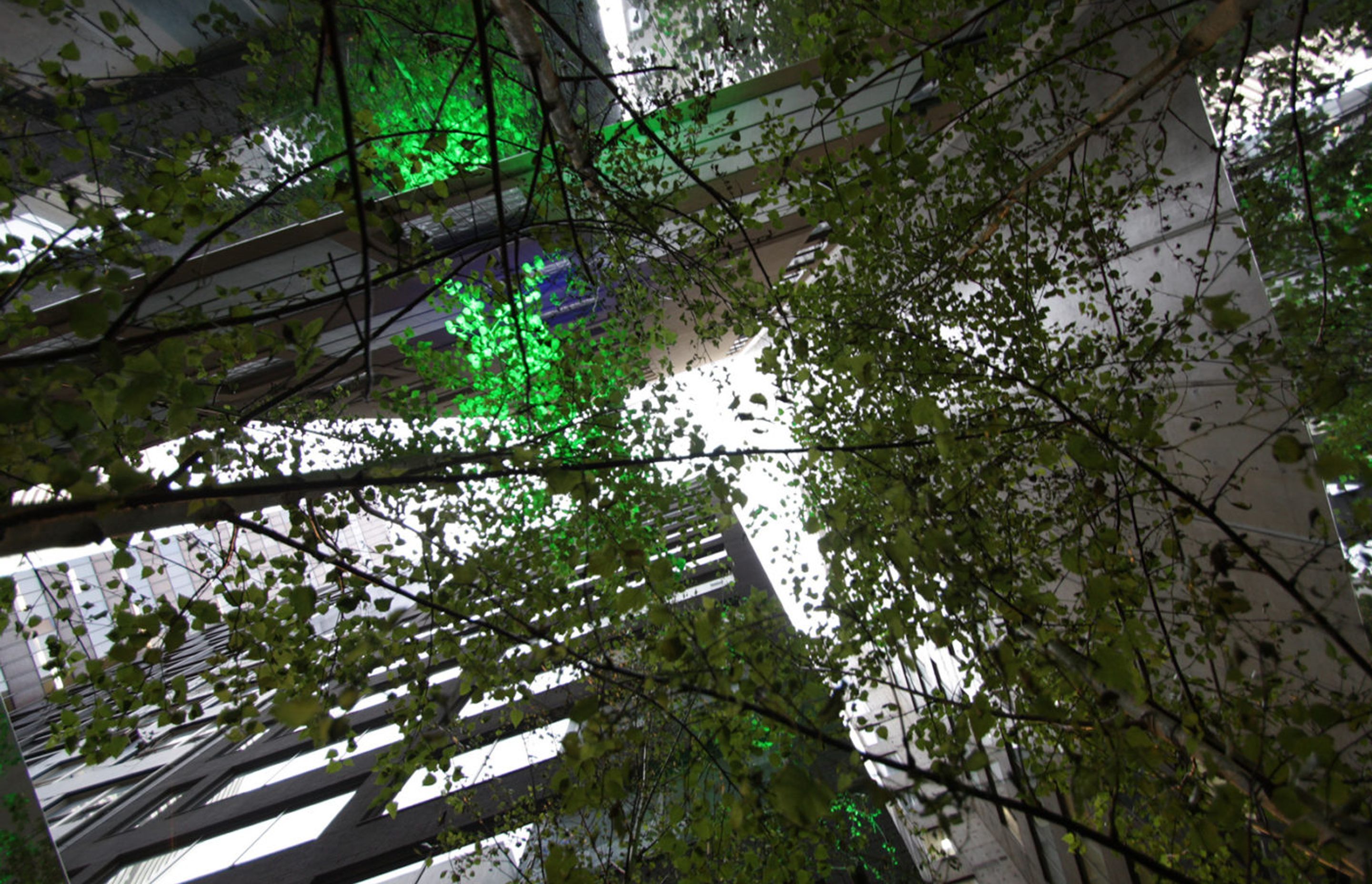 Infinity Forest by Scale Architecture | ArchiPro AU