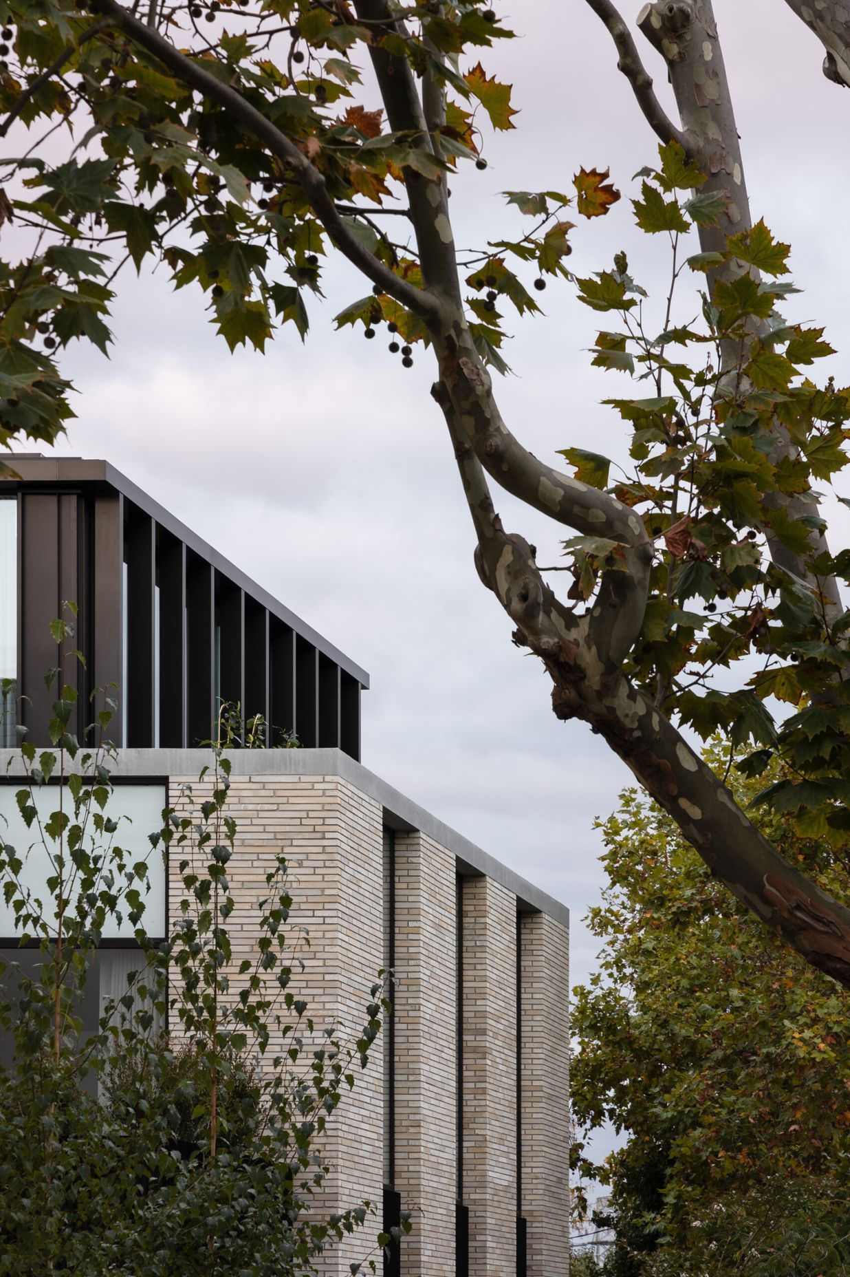 Edition | Toorak by Cera Stribley | ArchiPro AU