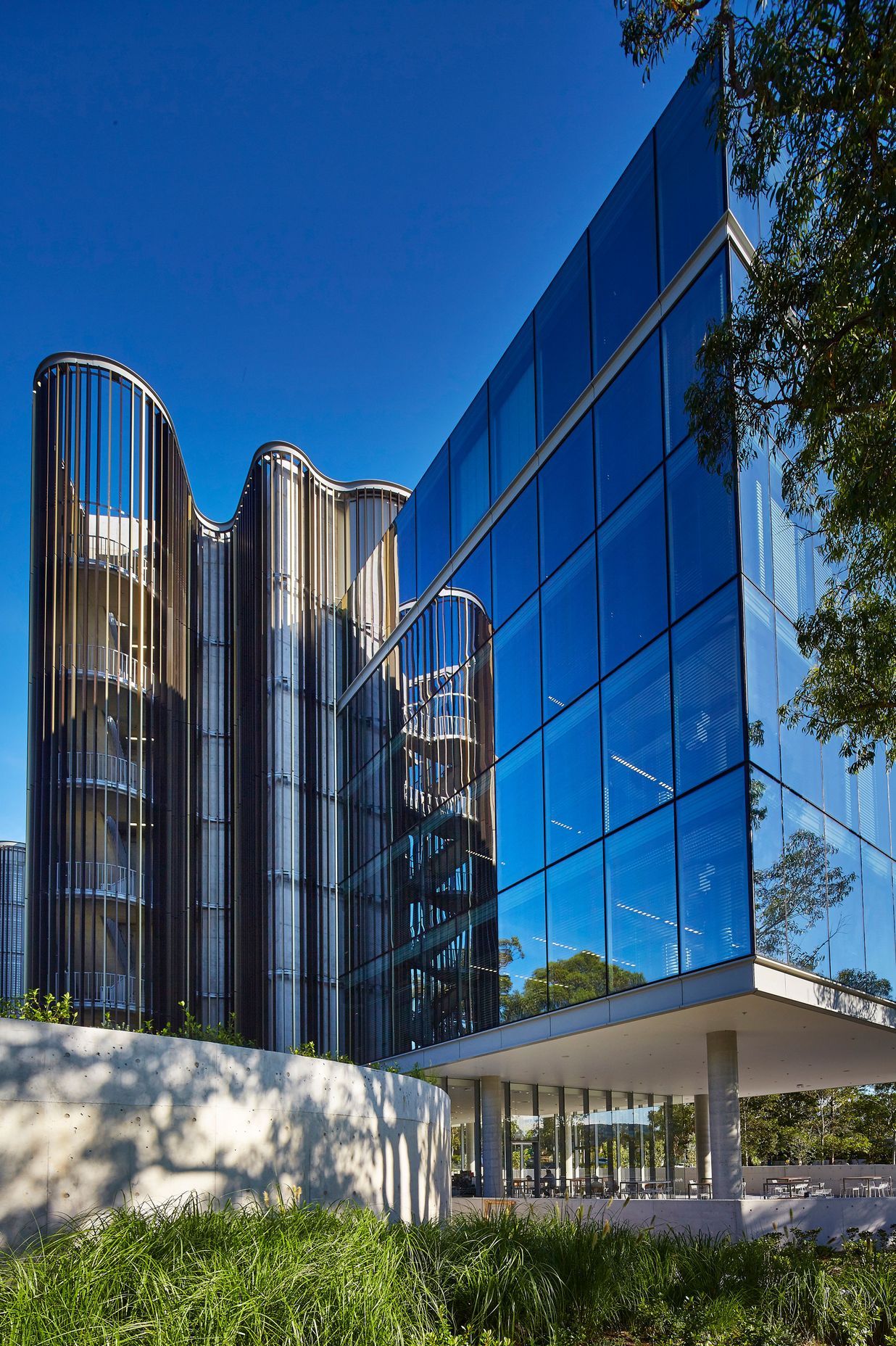 Novartis Australia Headquarters by HDR | ArchiPro AU