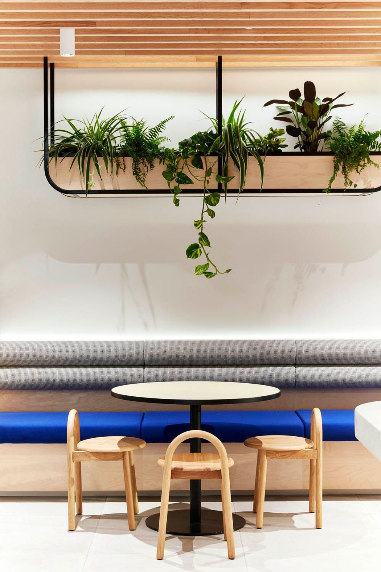 Shape Sydney by Siren Design Group | ArchiPro AU