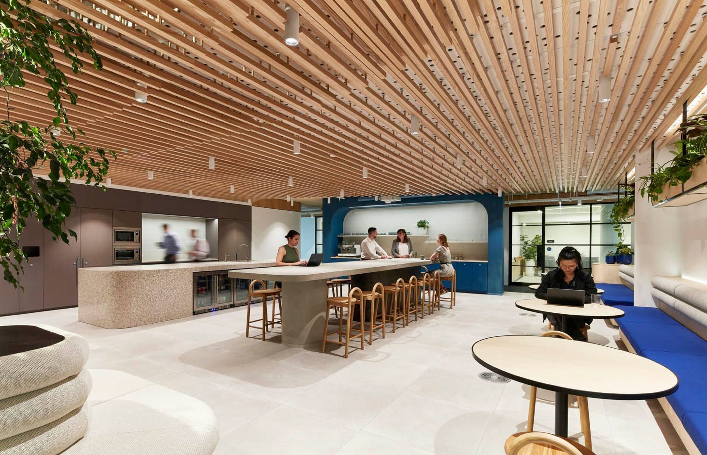 Shape Sydney by Siren Design Group | ArchiPro AU