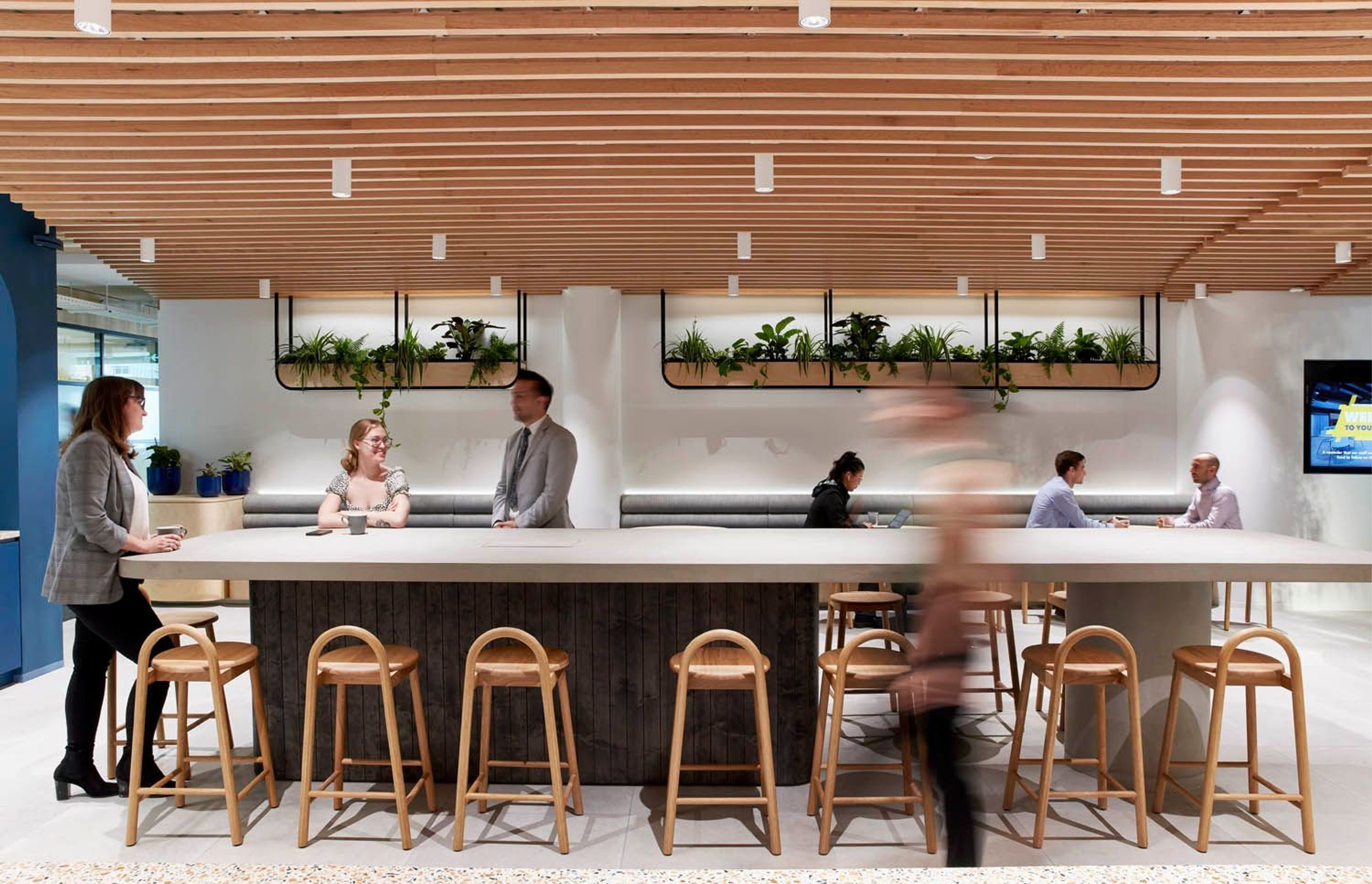 Shape Sydney by Siren Design Group | ArchiPro AU
