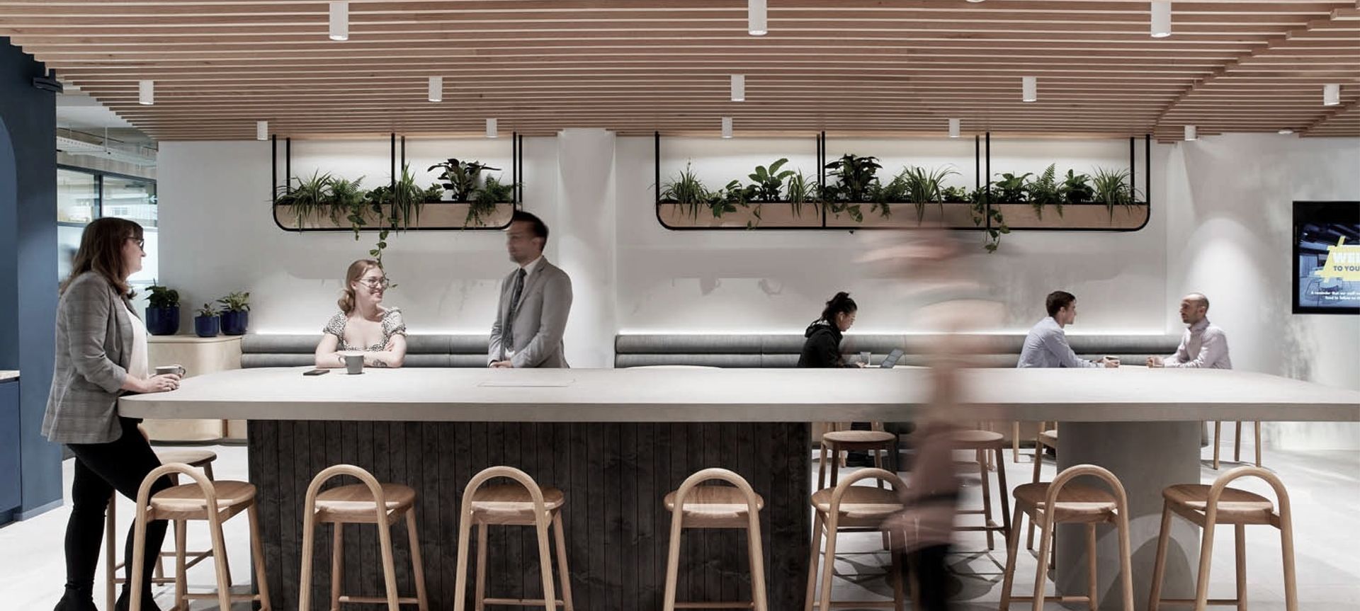 Shape Sydney by Siren Design Group | ArchiPro AU