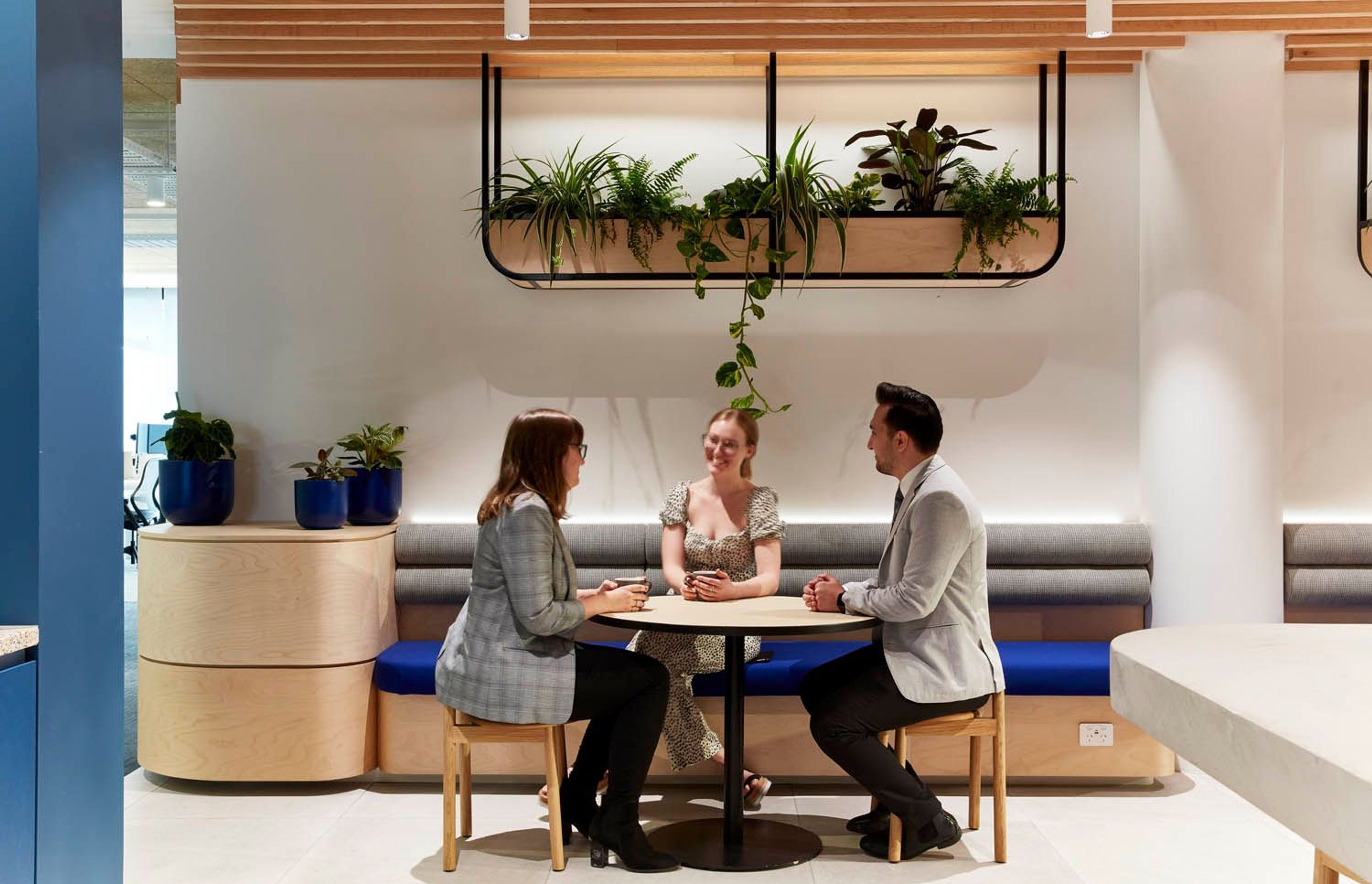 Shape Sydney by Siren Design Group | ArchiPro AU