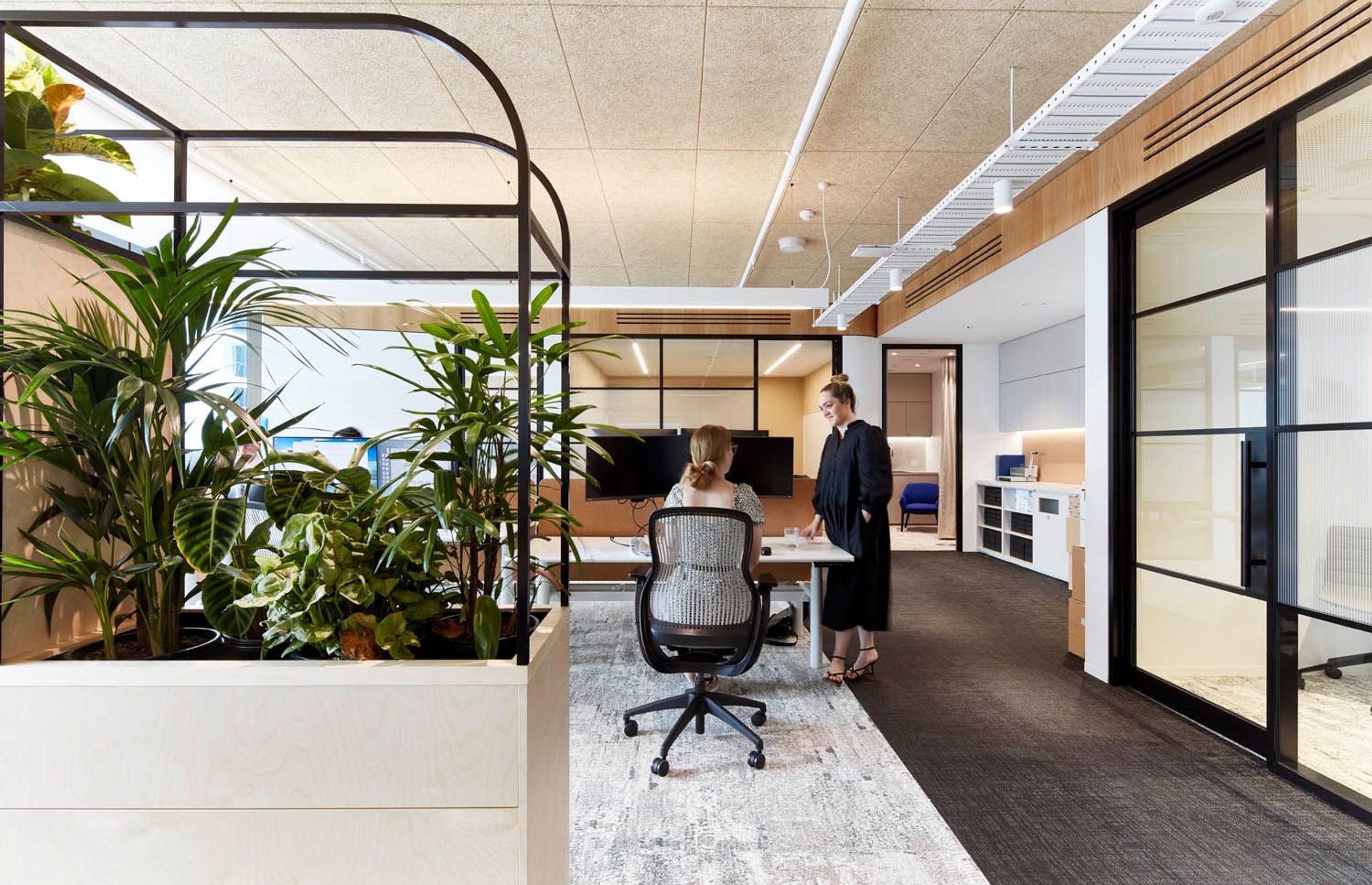 Shape Sydney by Siren Design Group | ArchiPro AU