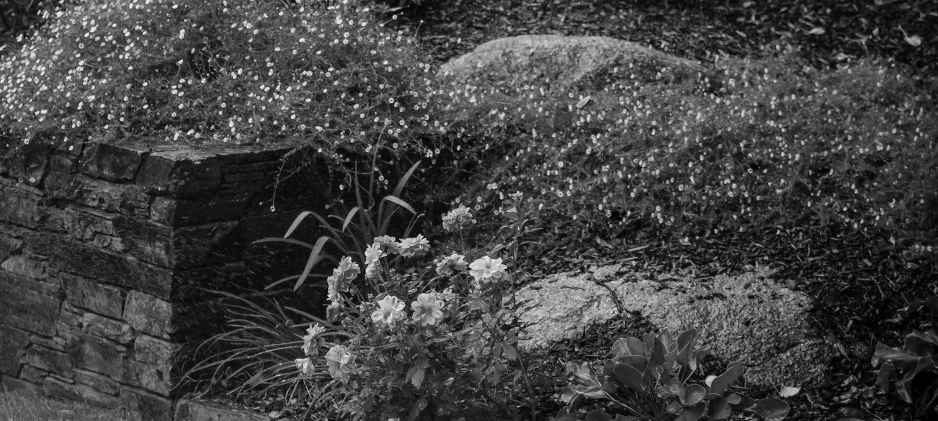 Donvale Garden by Ashley James Gardens | ArchiPro AU