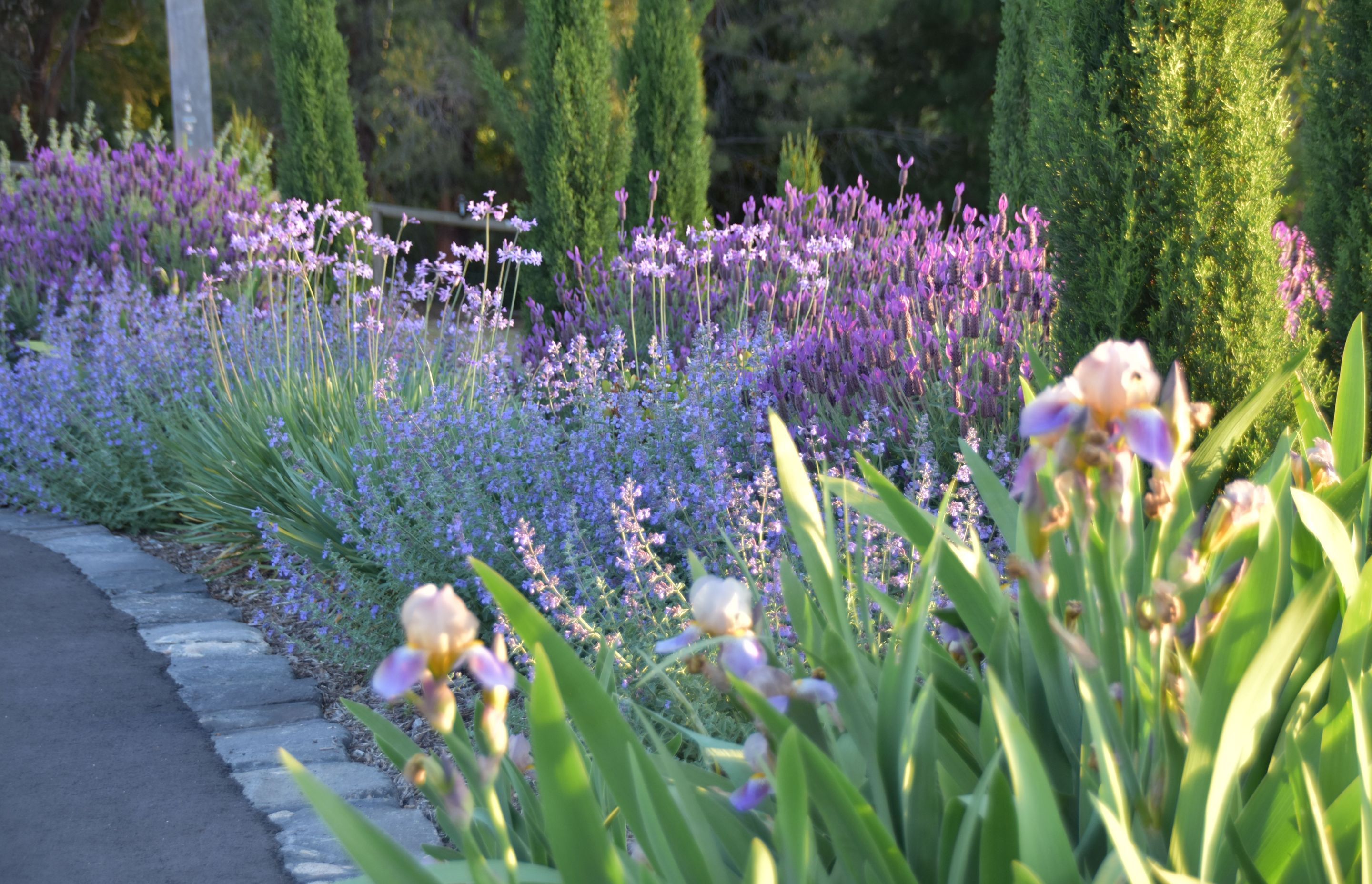 Wonga Park - Country Garden by MG Gardens | ArchiPro AU