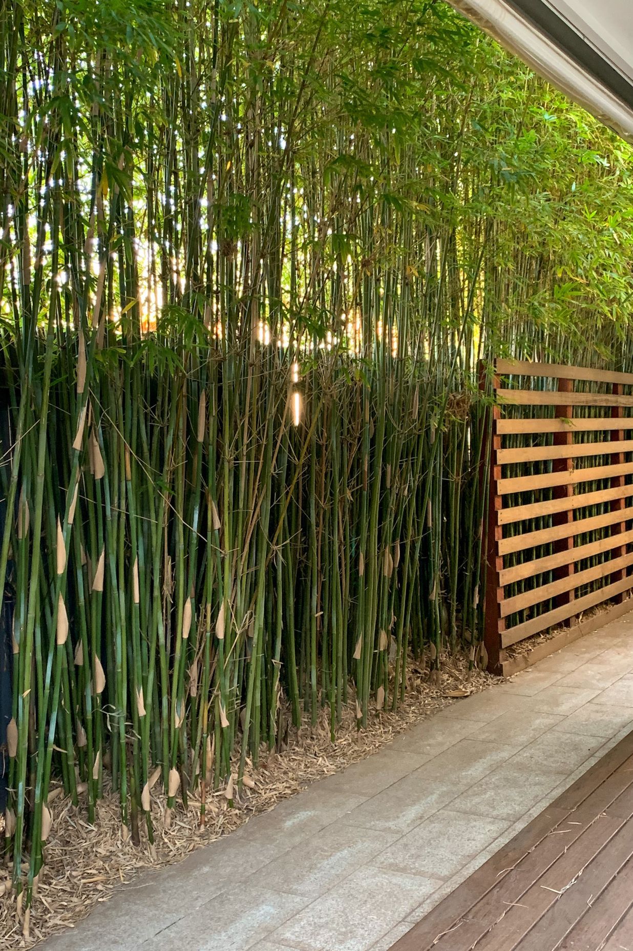 New Home Design- Hampton by Lisa Harper Designs | ArchiPro AU