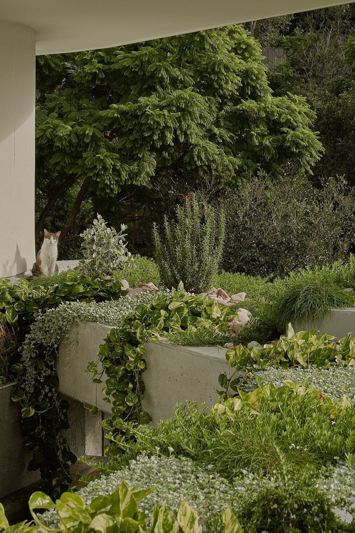 Arcos by Green Care Project | ArchiPro AU