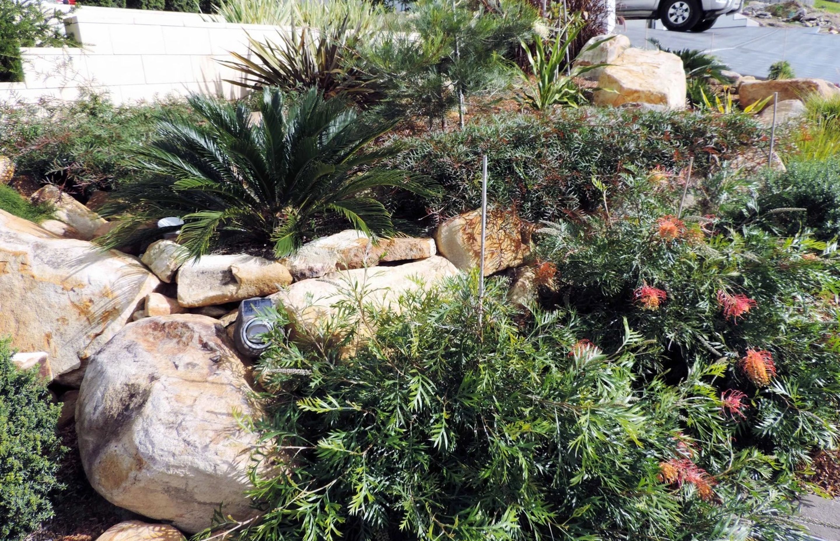 Contemporary Native Garden by Dream Design Scapes | ArchiPro AU