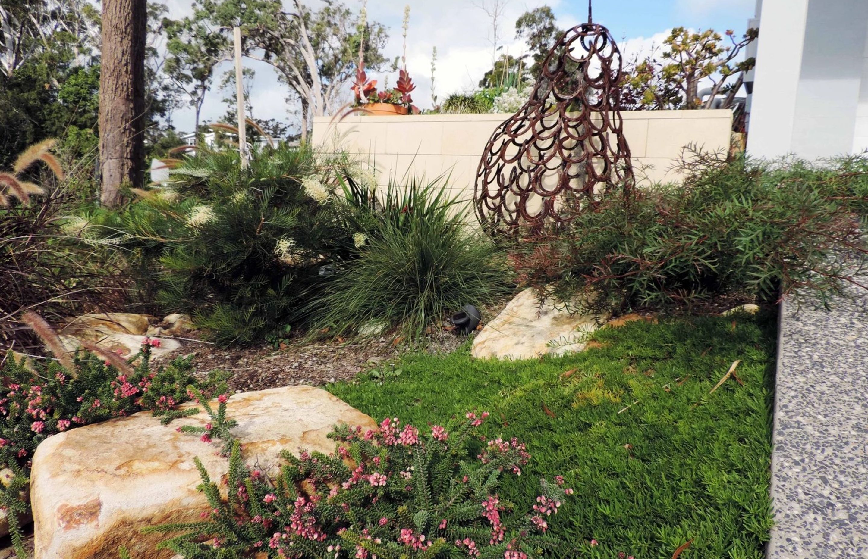 Contemporary Native Garden by Dream Design Scapes | ArchiPro AU