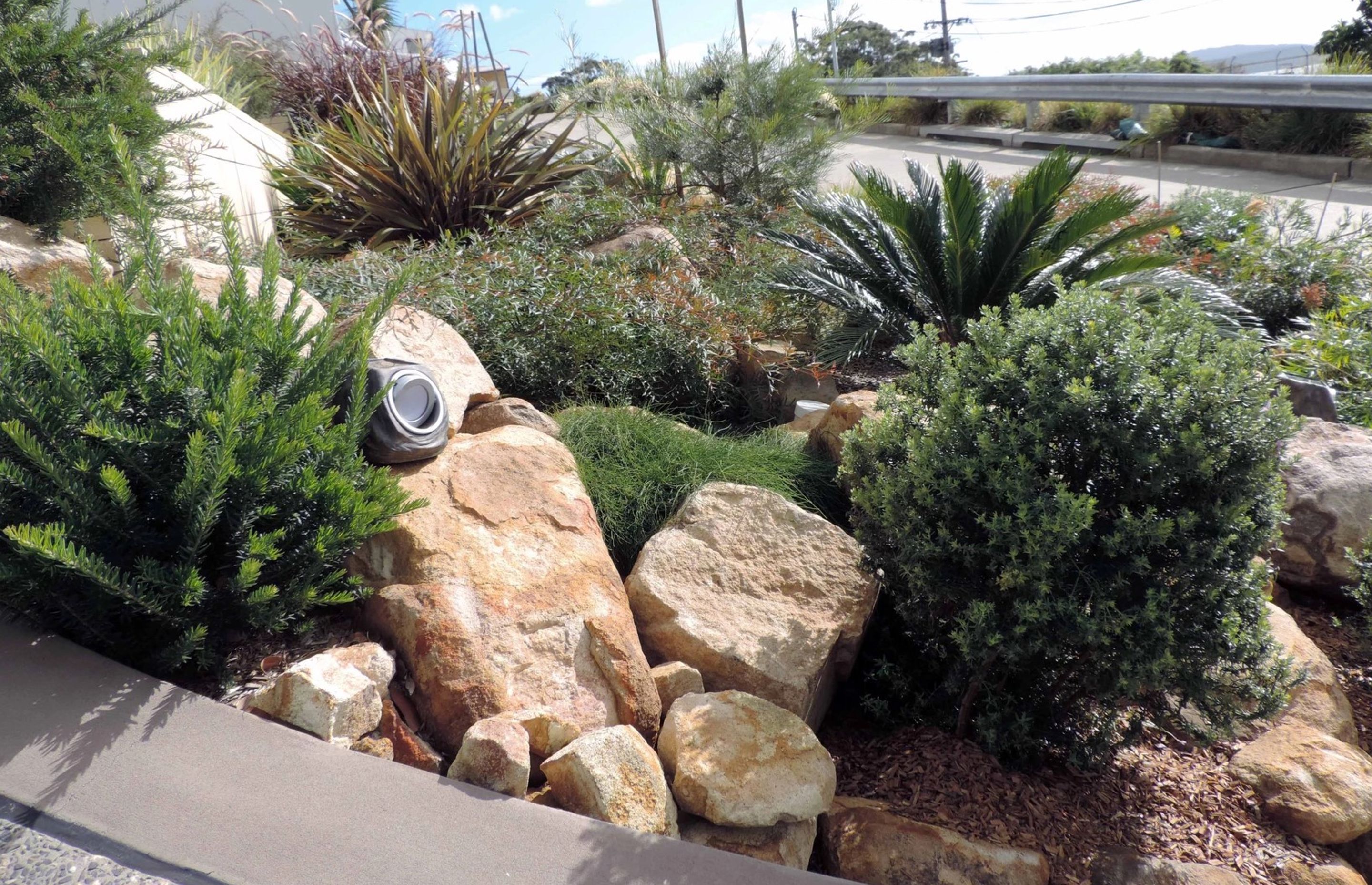 Contemporary Native Garden by Dream Design Scapes | ArchiPro AU