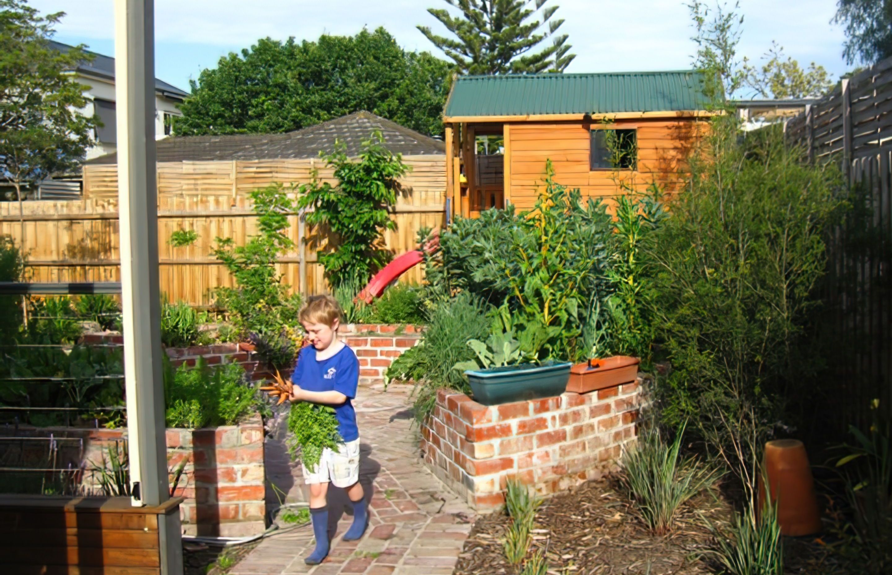 Northcote Garden by Arcadia Sustainable Design | ArchiPro AU