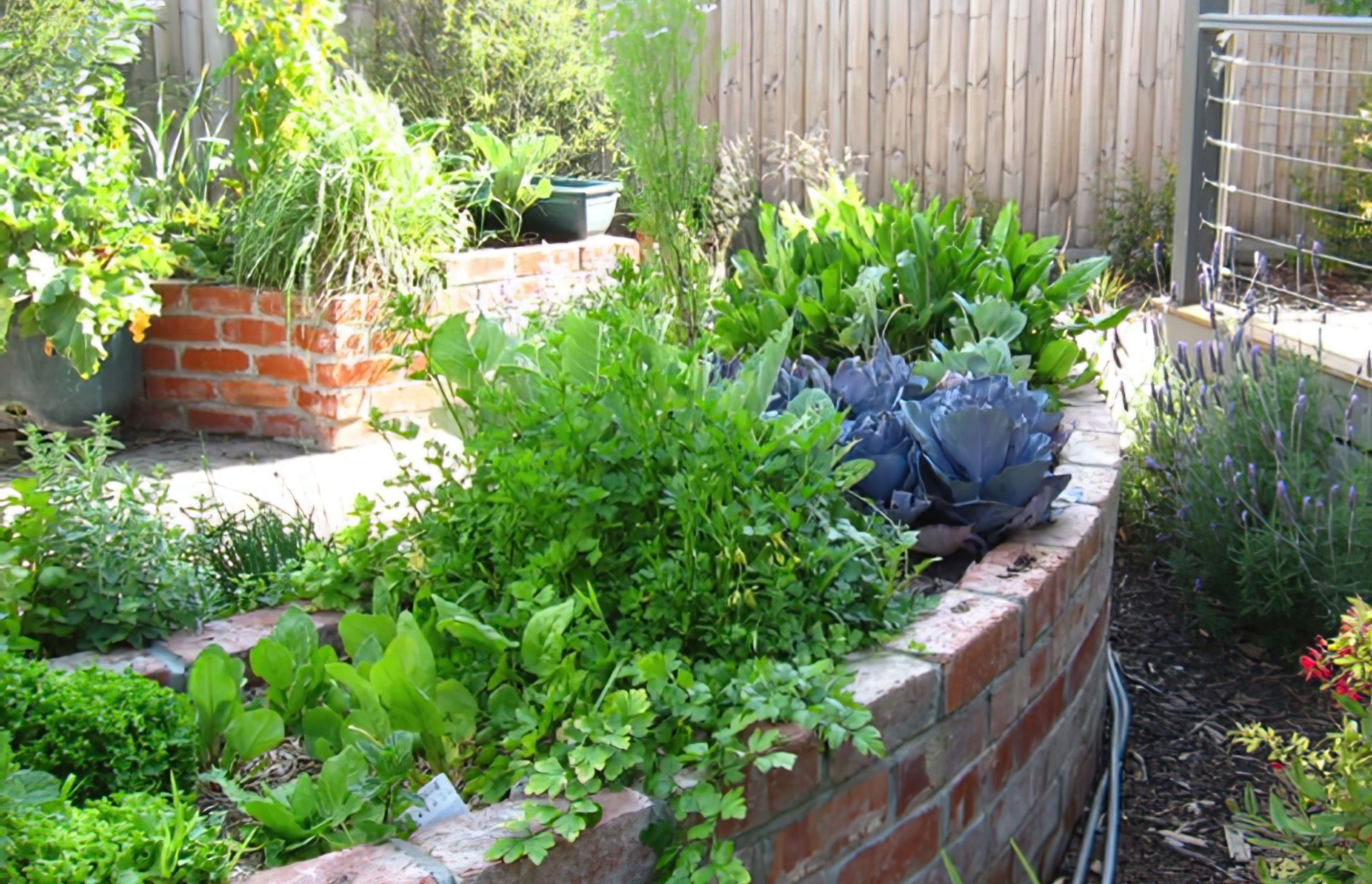 Northcote Garden by Arcadia Sustainable Design | ArchiPro AU