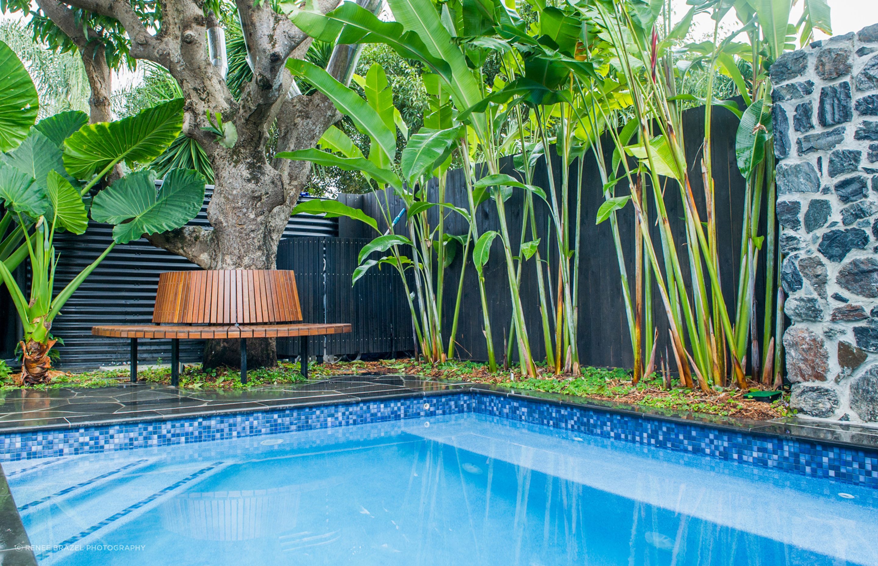 Tropical Retreat by Definition Landscape + Design | ArchiPro AU