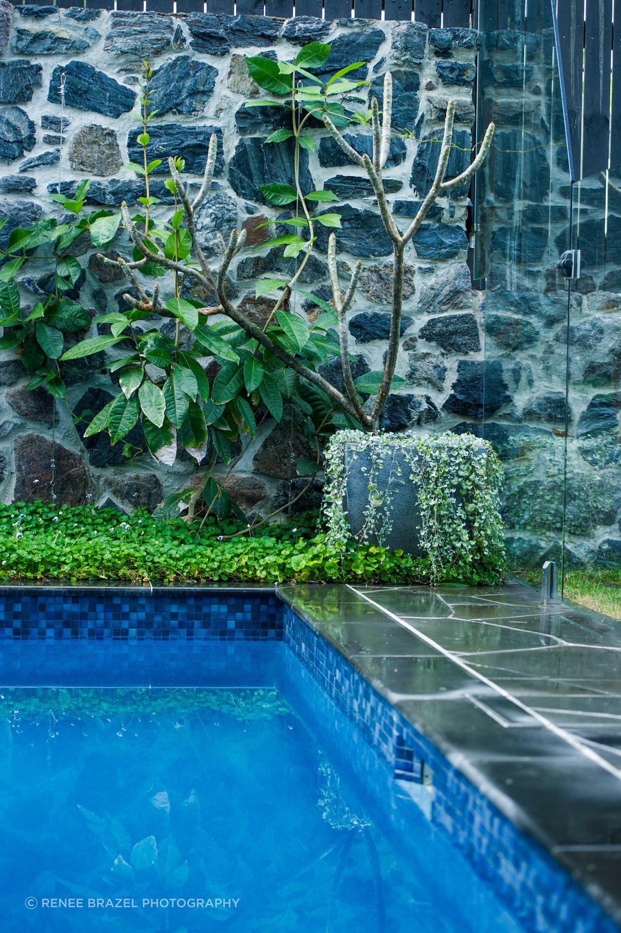 Tropical Retreat by Definition Landscape + Design | ArchiPro AU