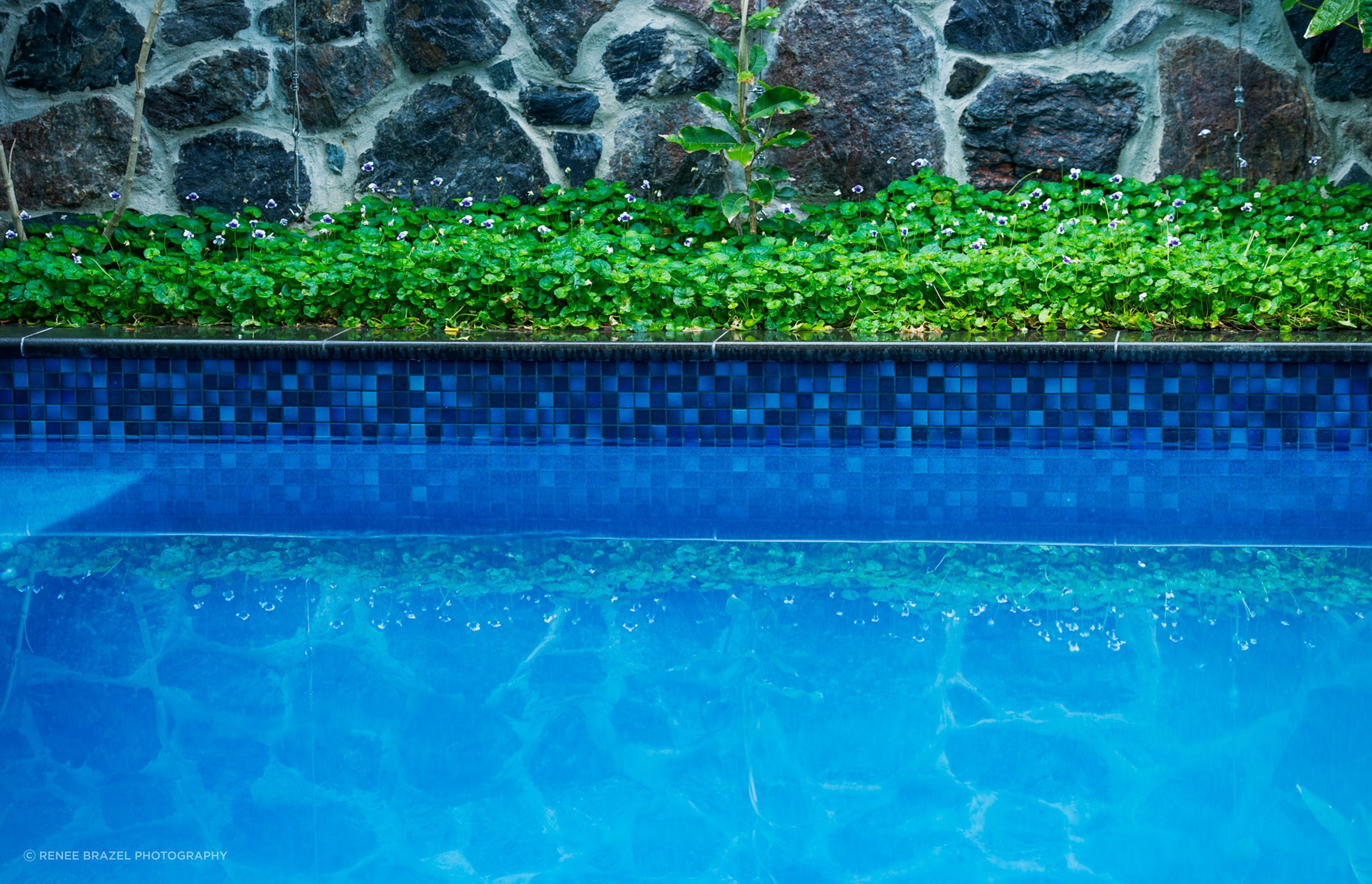 Tropical Retreat by Definition Landscape + Design | ArchiPro AU