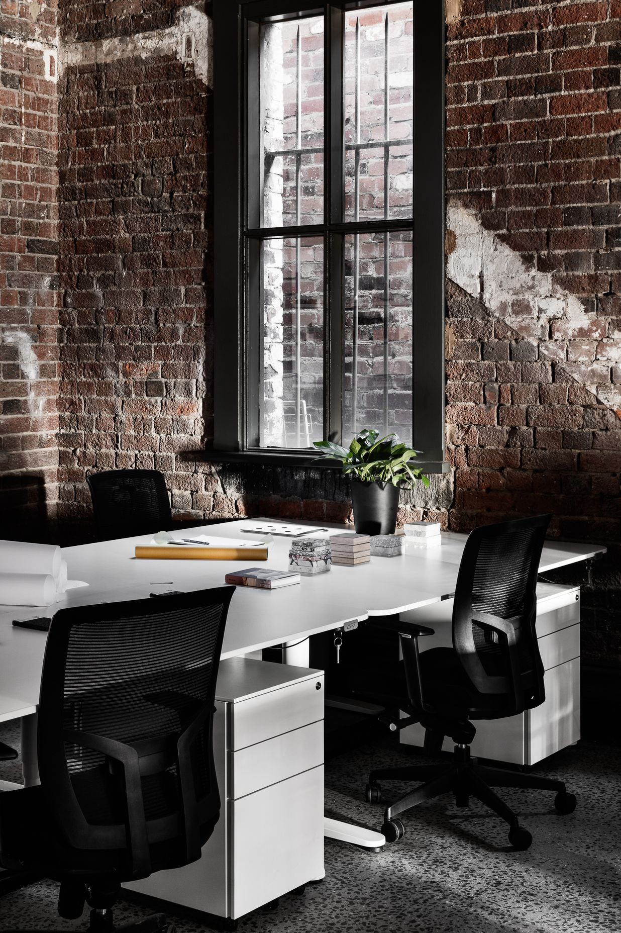 Coppin Studio by One Design Office | ArchiPro AU