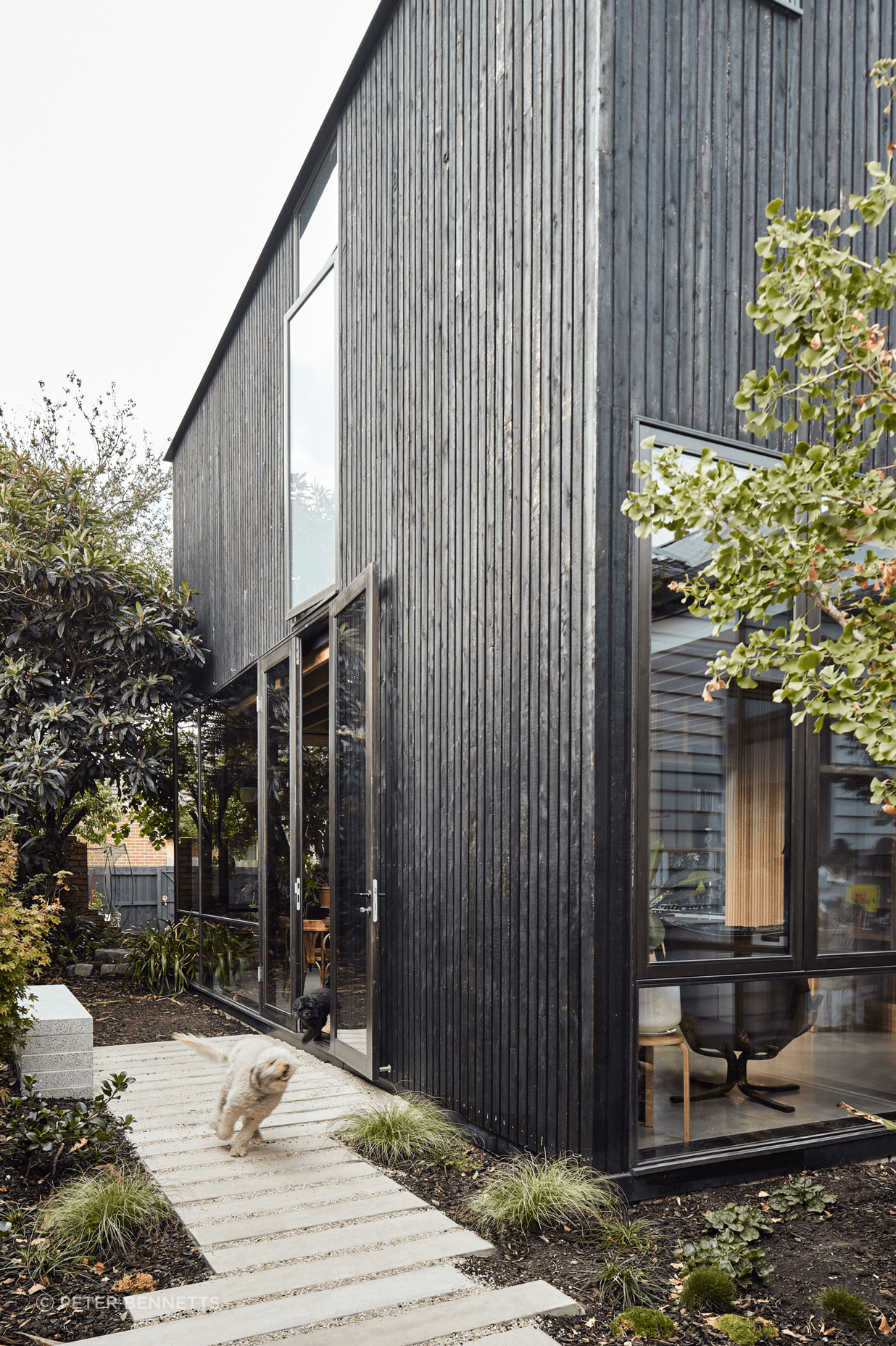 Harry House by Archier | ArchiPro AU