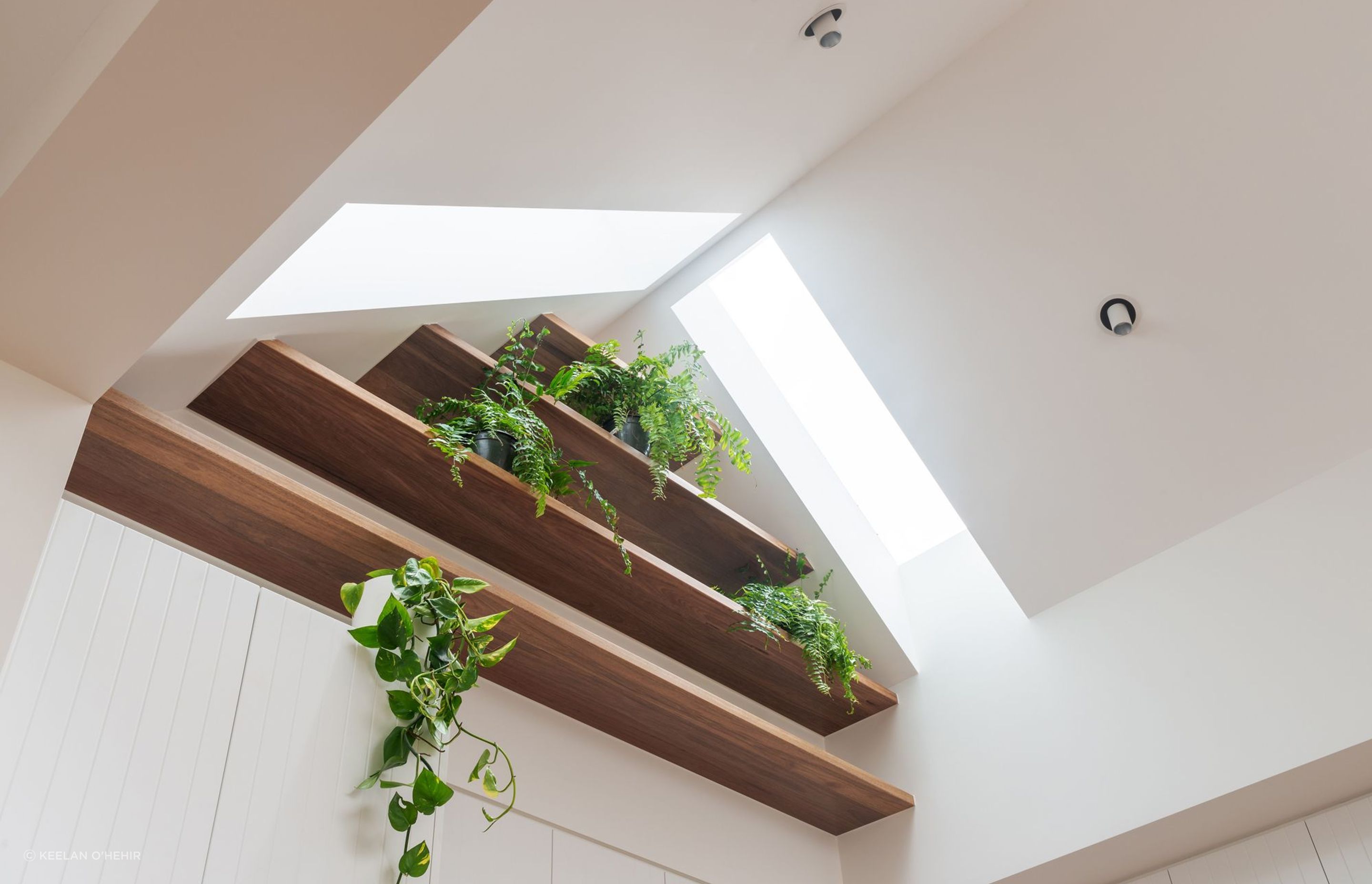 Allan House by Design by AD | ArchiPro AU