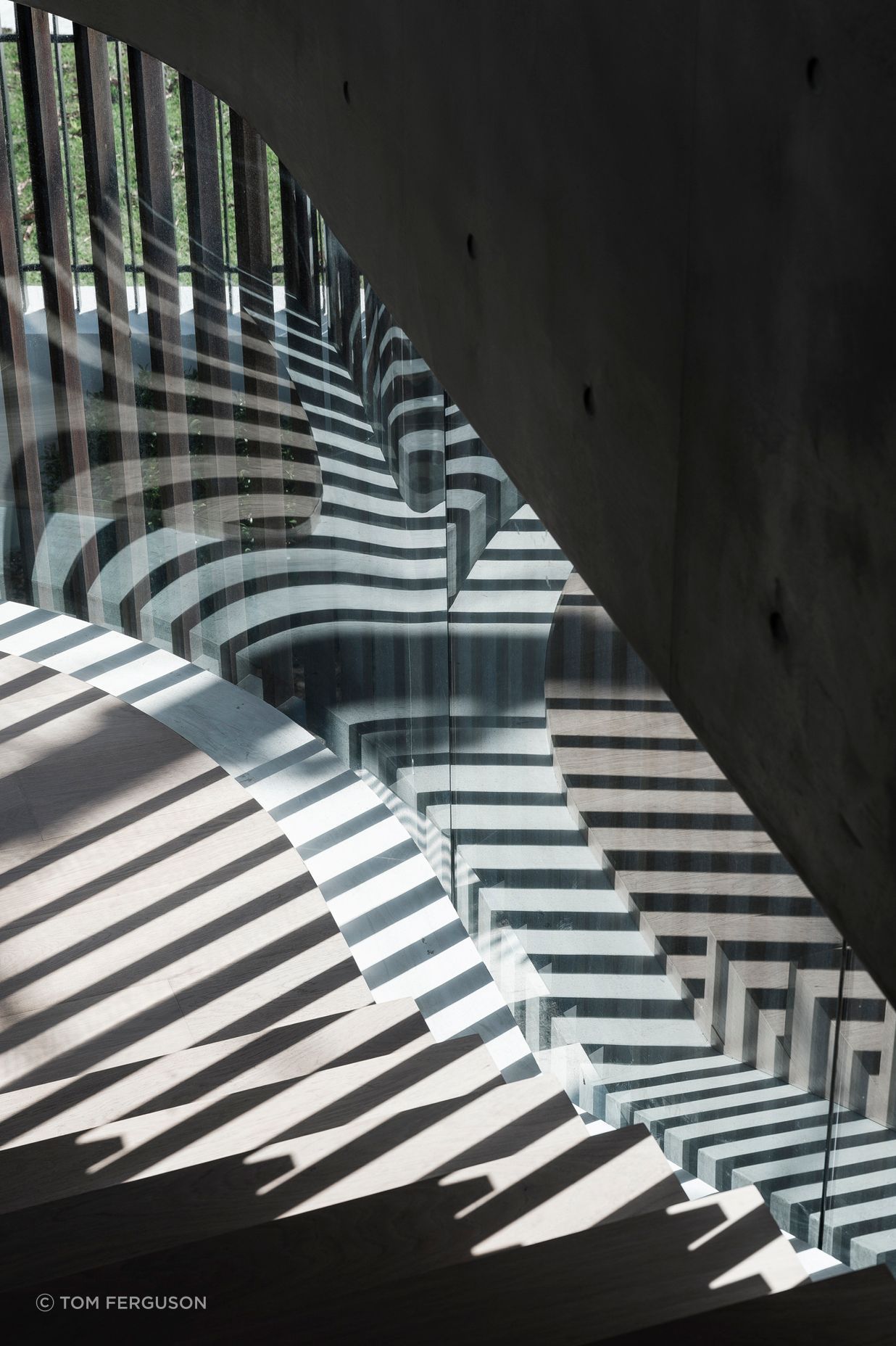 Dalley Avenue by MHNDU | ArchiPro AU