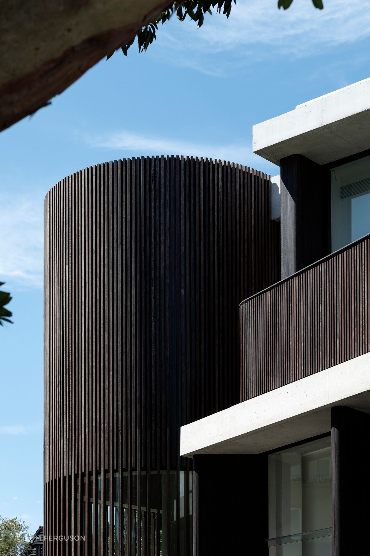 Dalley Avenue by MHNDU | ArchiPro AU