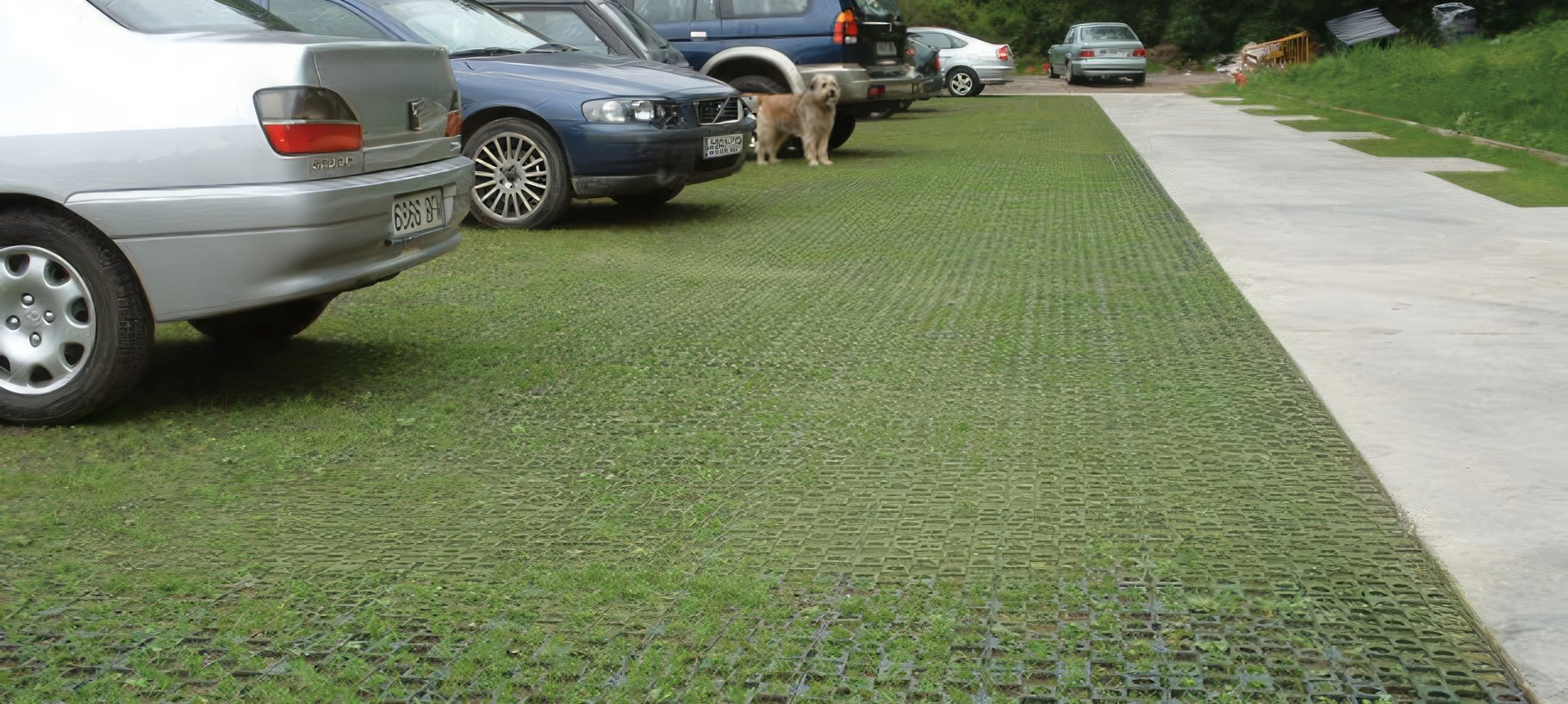 Revolutionizing Green Spaces with Atlantis Turf Cell®