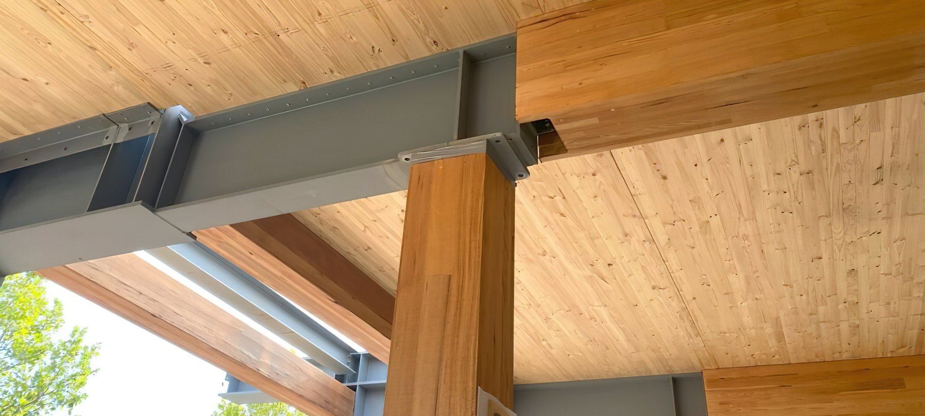 Harnessing the power of certification: How choosing certified timber ...