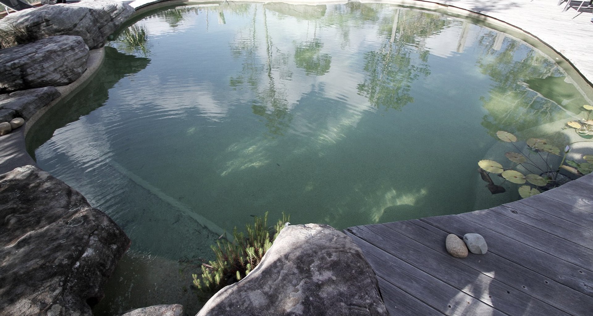 WILDLIFE AND NATURAL POOLS