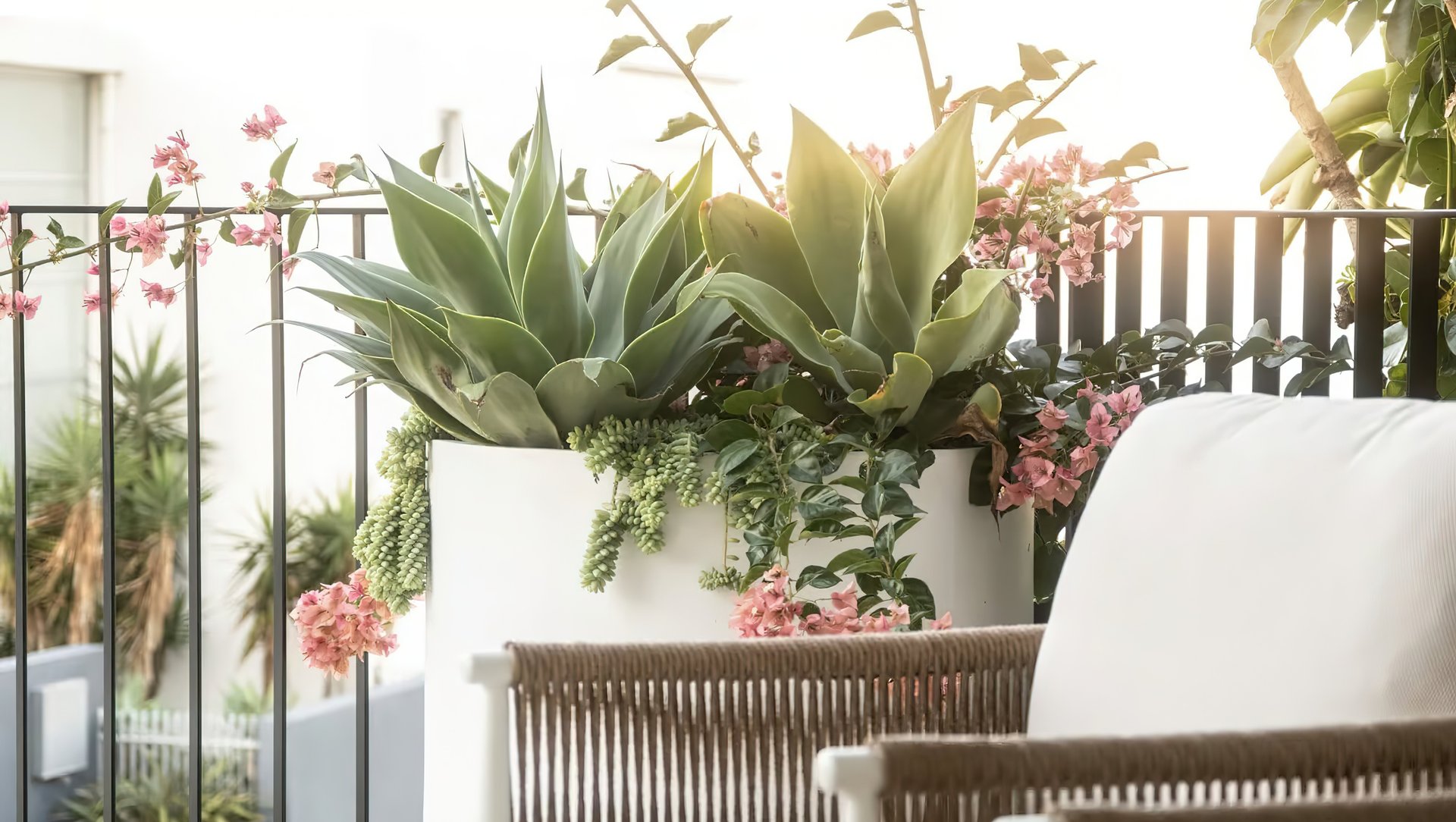 Best Plants for Sydney's North Shore Gardens
