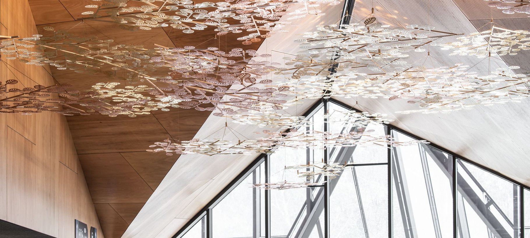 Cradle Mountain Visitor Centre Announced as a Jury Winner at the ...