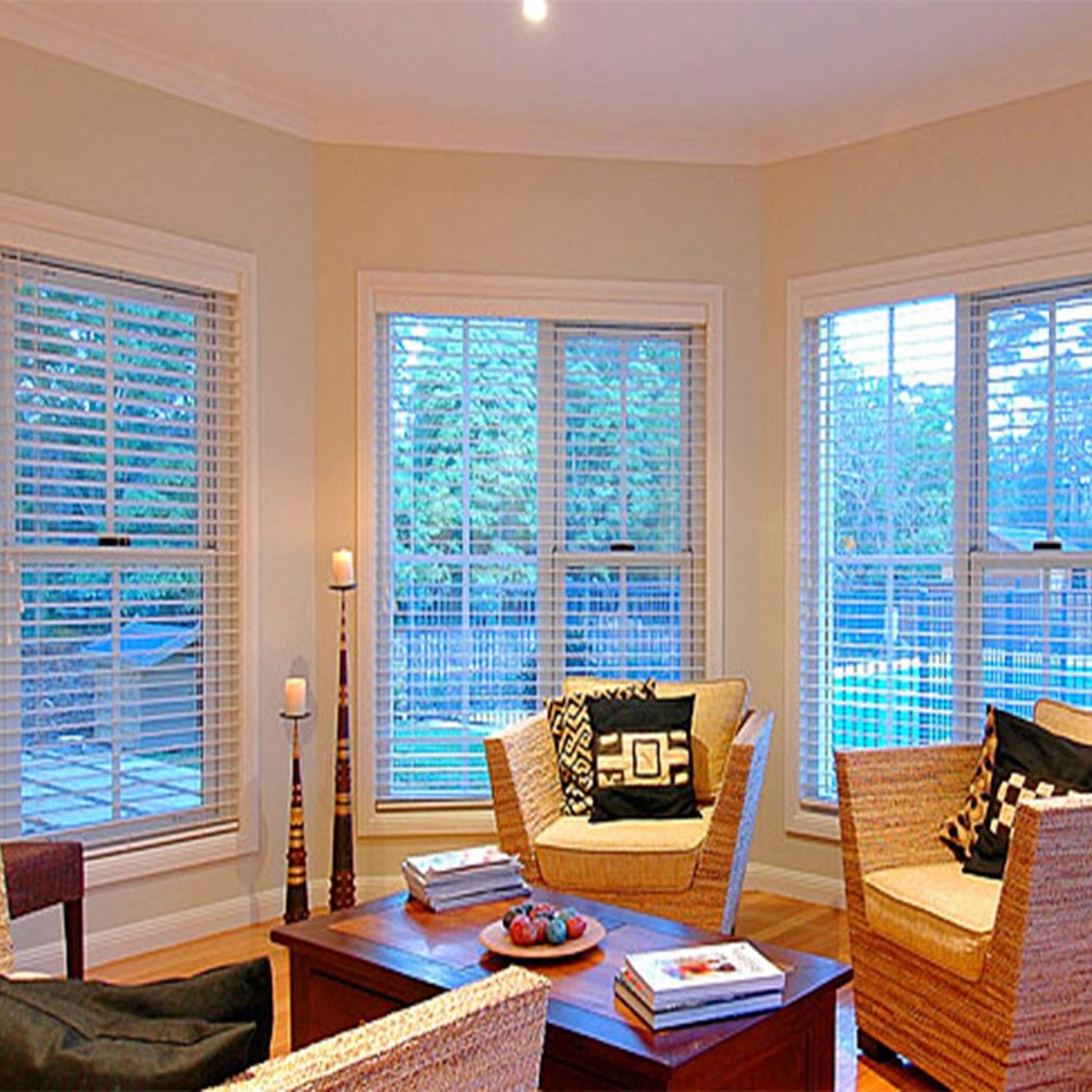 Elevate | Series 453 | Double-Hung Window | ArchiPro AU