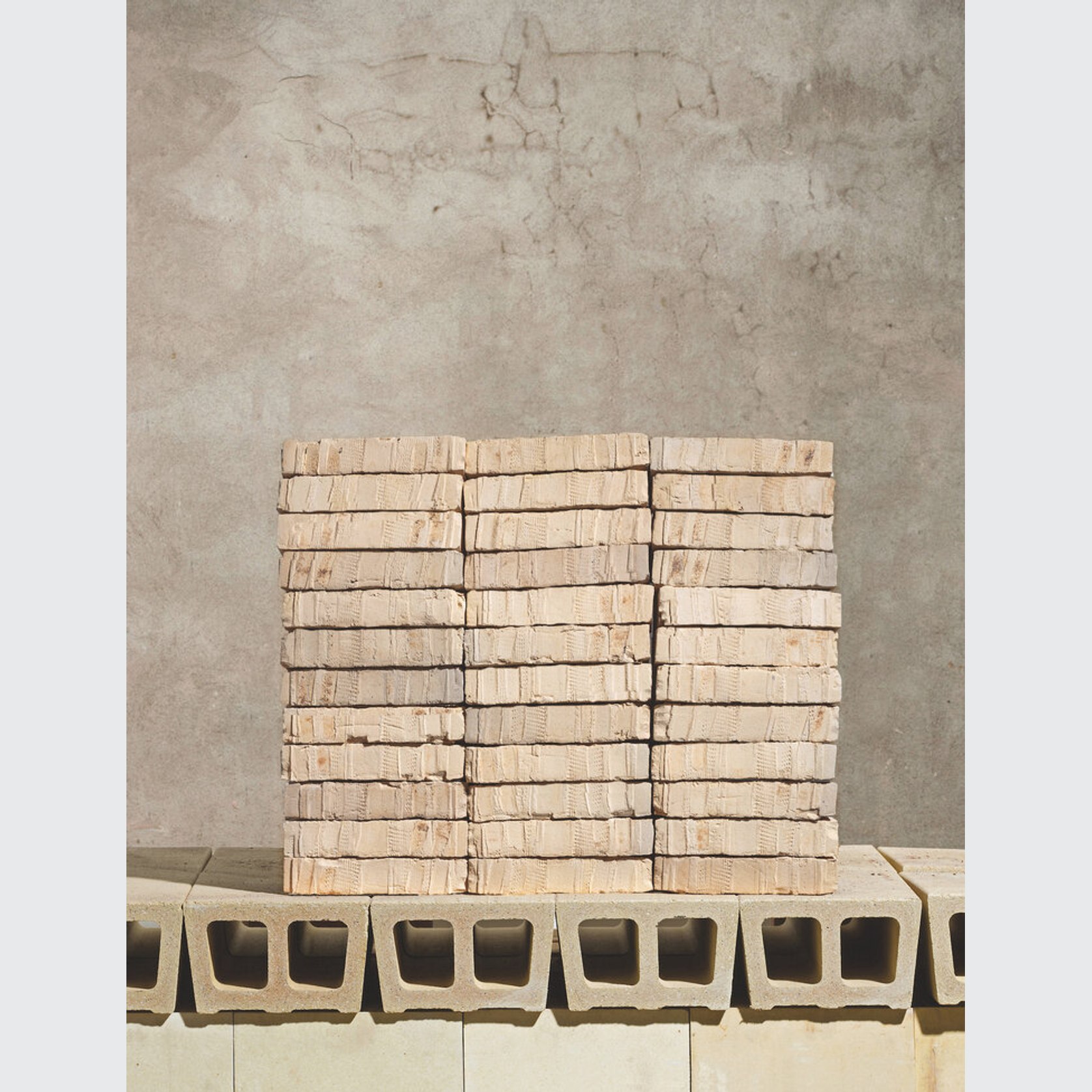 Original Water-Struck Bricks | ArchiPro AU