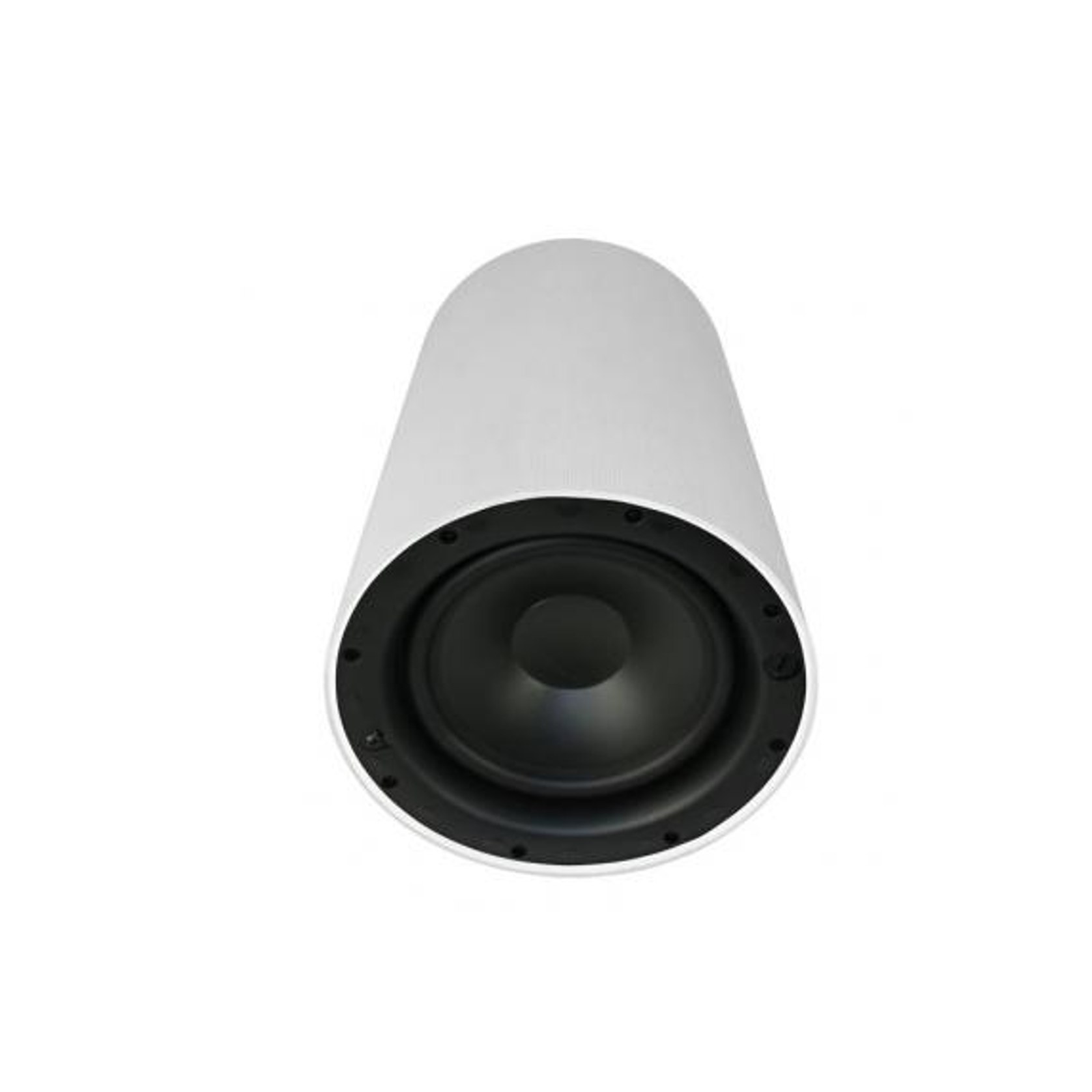 Origin PPSUB8W WHITE 2 Way 70/100v Line Pendant Subwoofer | ArchiPro AU