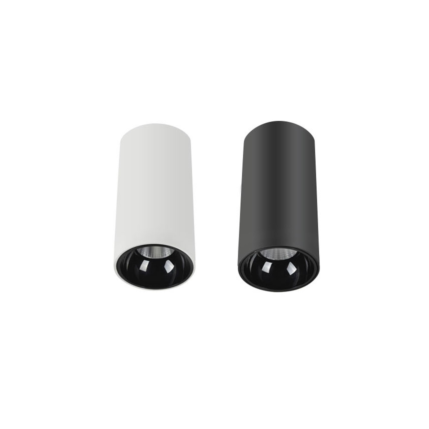 Exterior IP65 Surface Mounted Downlight | ArchiPro AU