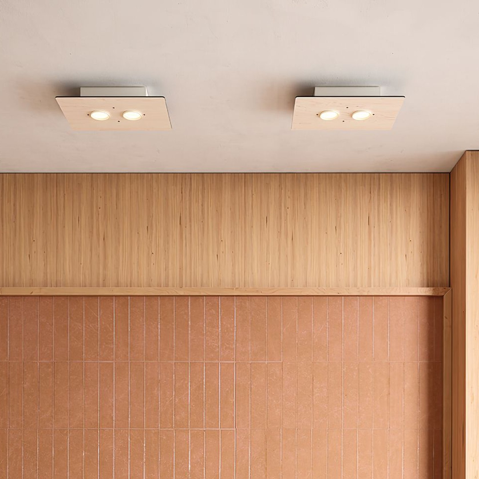 Equal Twin Ceiling Light | ArchiPro AU