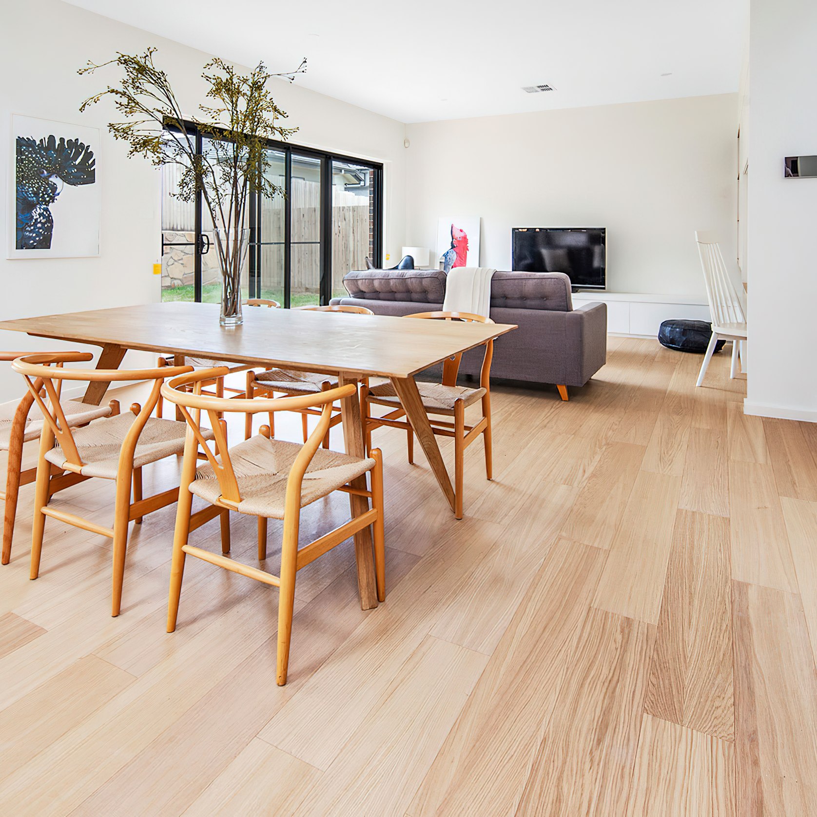 HW7364 Ivory Oak | ArchiPro AU