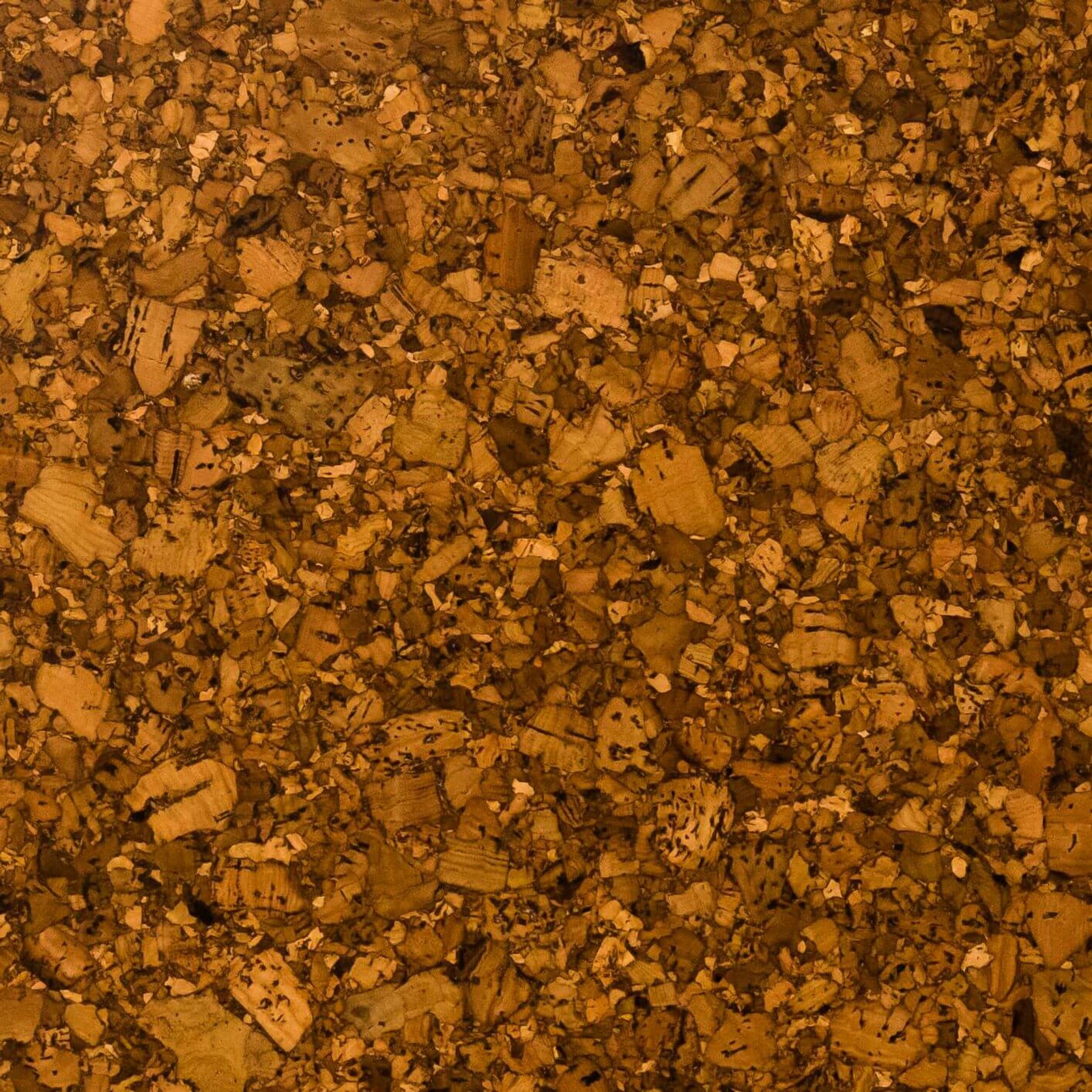 New Generation Cork | ArchiPro AU