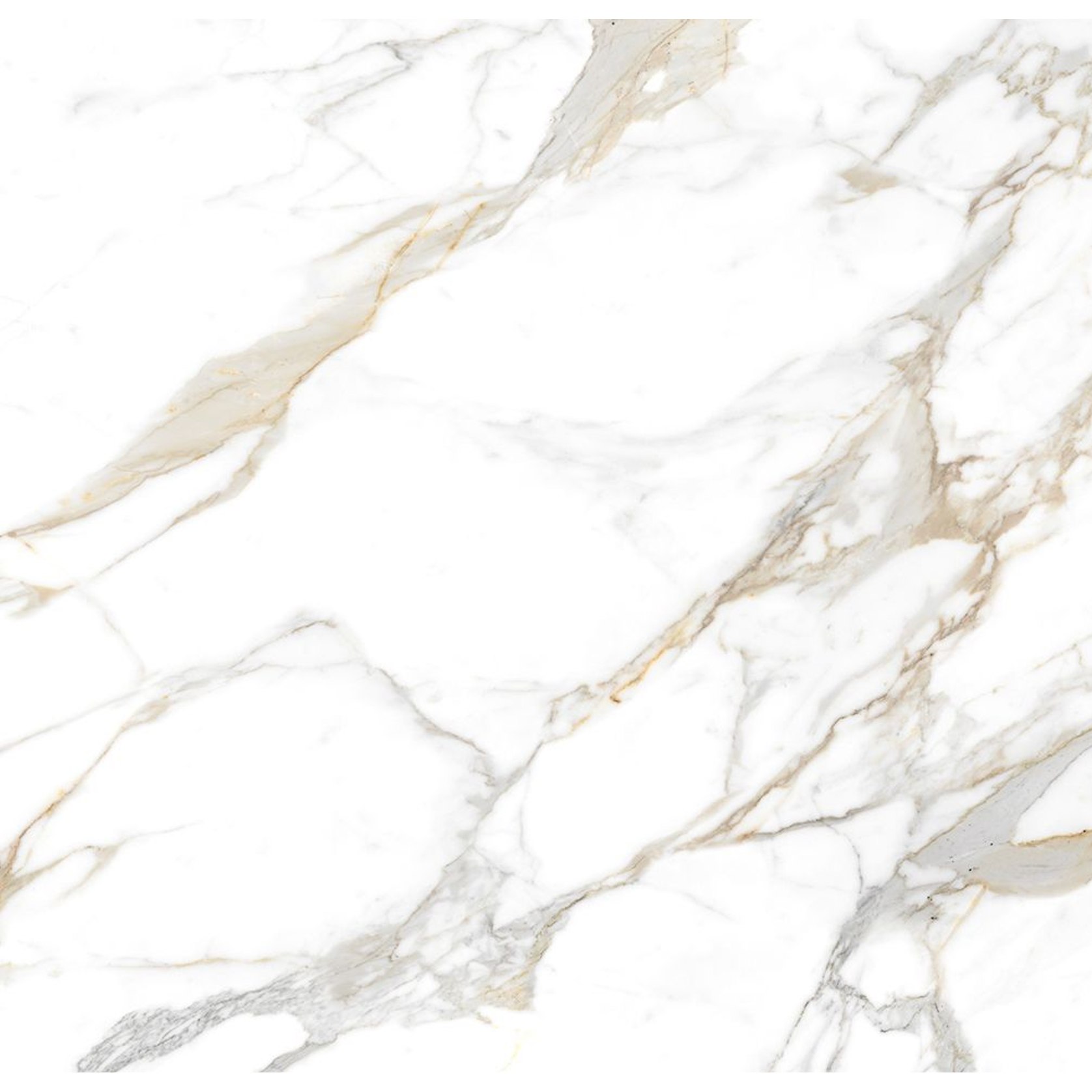 Calacatta Roma | ArchiPro AU