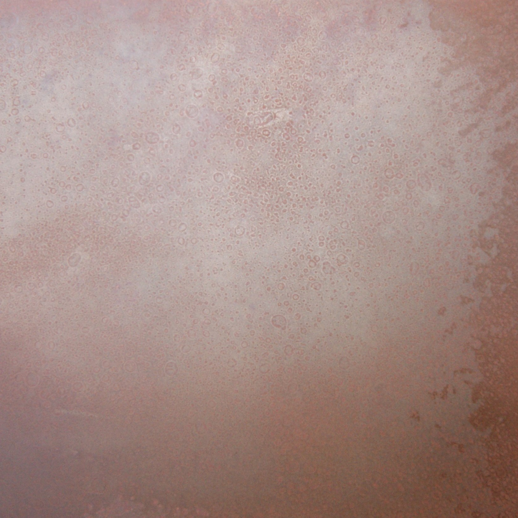 Copper Lunar Tch | Liquid Metal Finish | ArchiPro AU