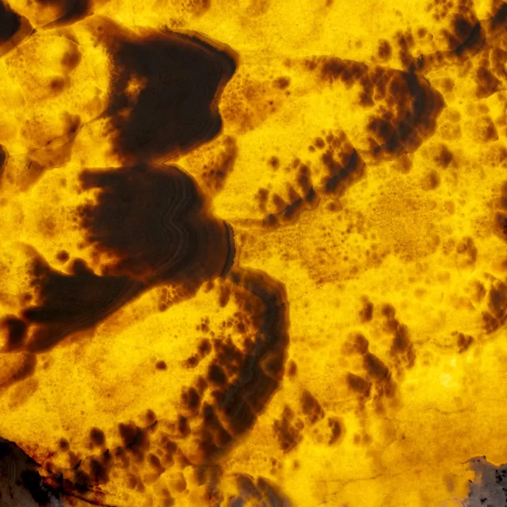 Bubble Onyx | Onyx Collection | ArchiPro AU