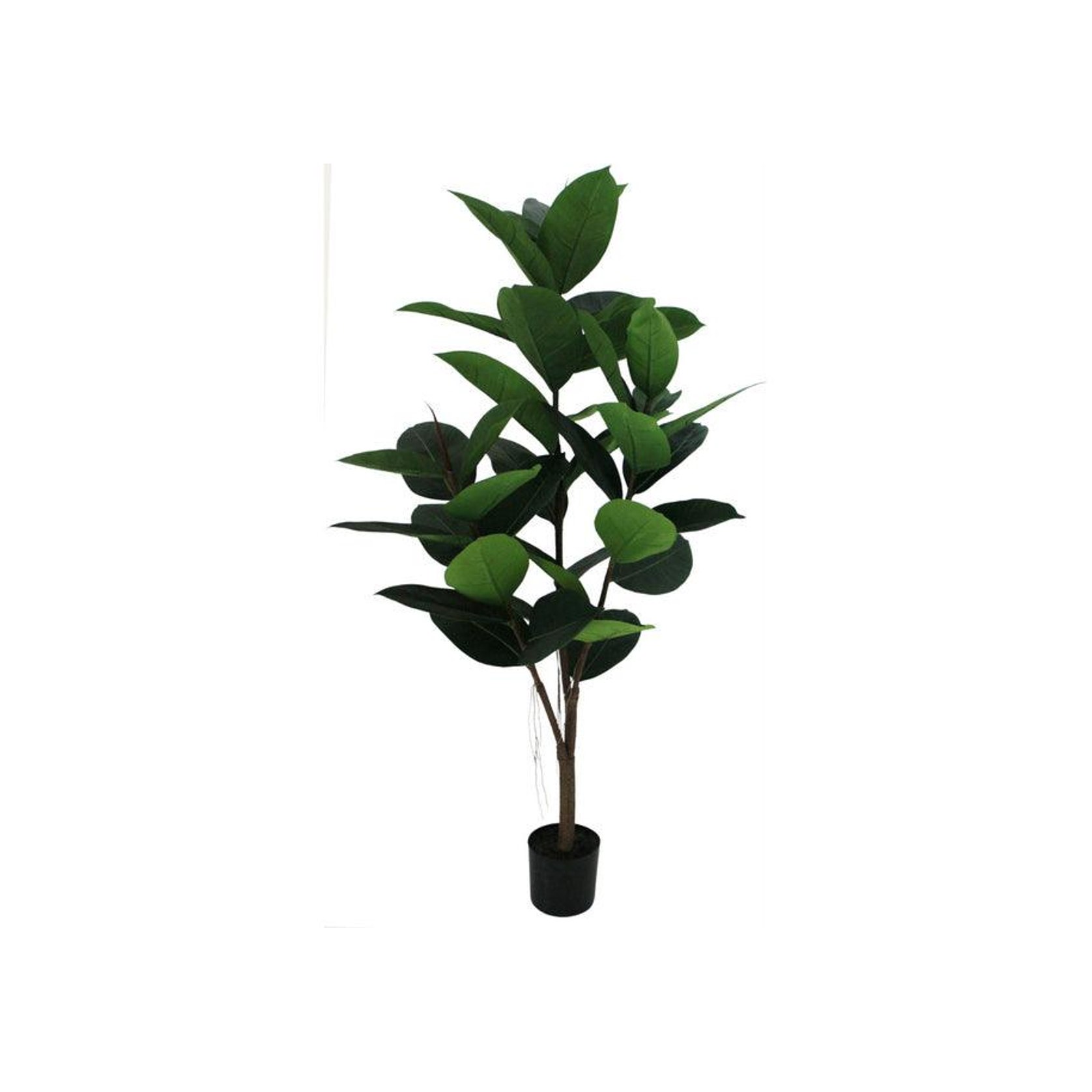 Potted Ficus Tree 121cm | ArchiPro AU