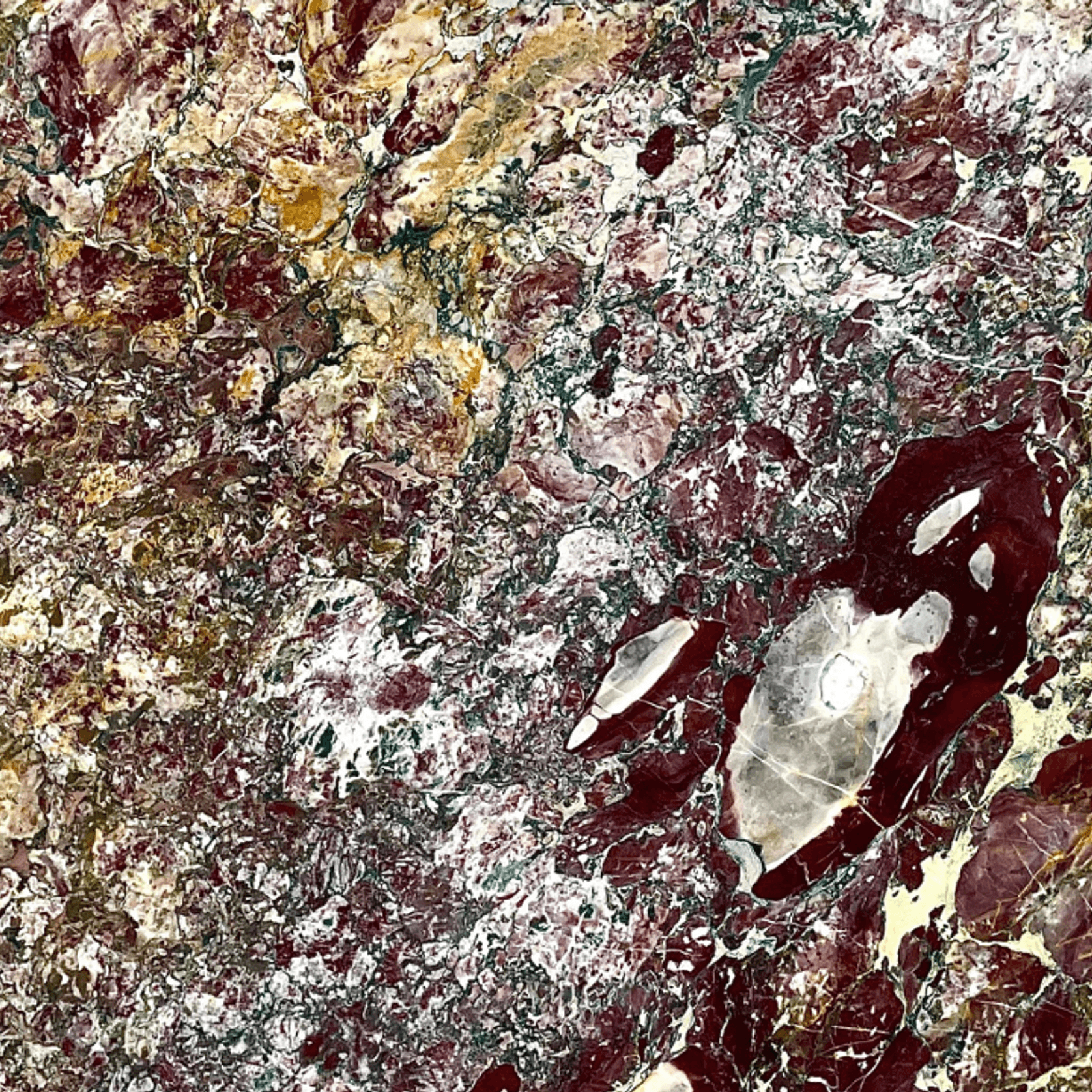 Breche de Vendome | Marble | Polished | ArchiPro AU