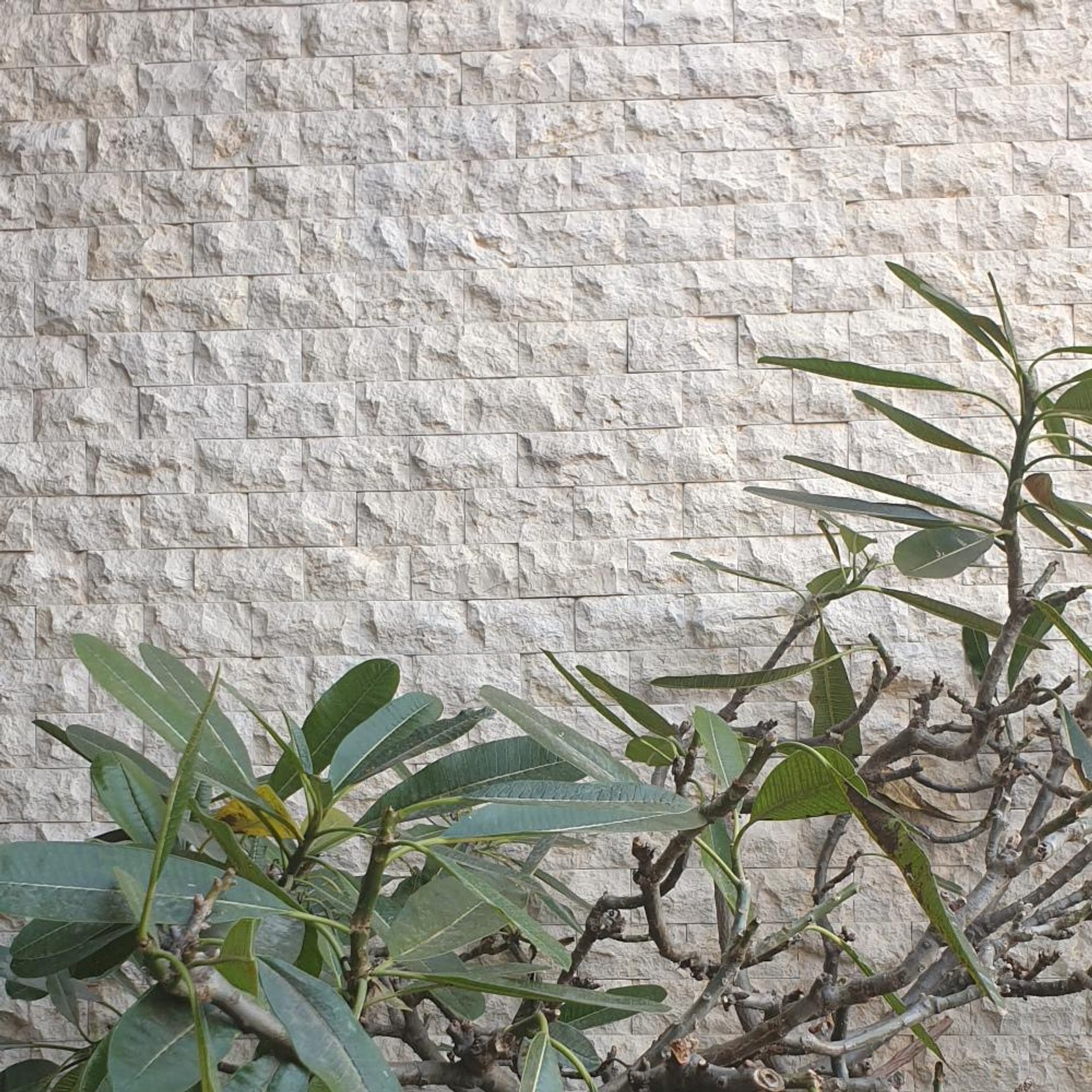Classic Linen Split Face Travertine Wall Cladding | ArchiPro AU