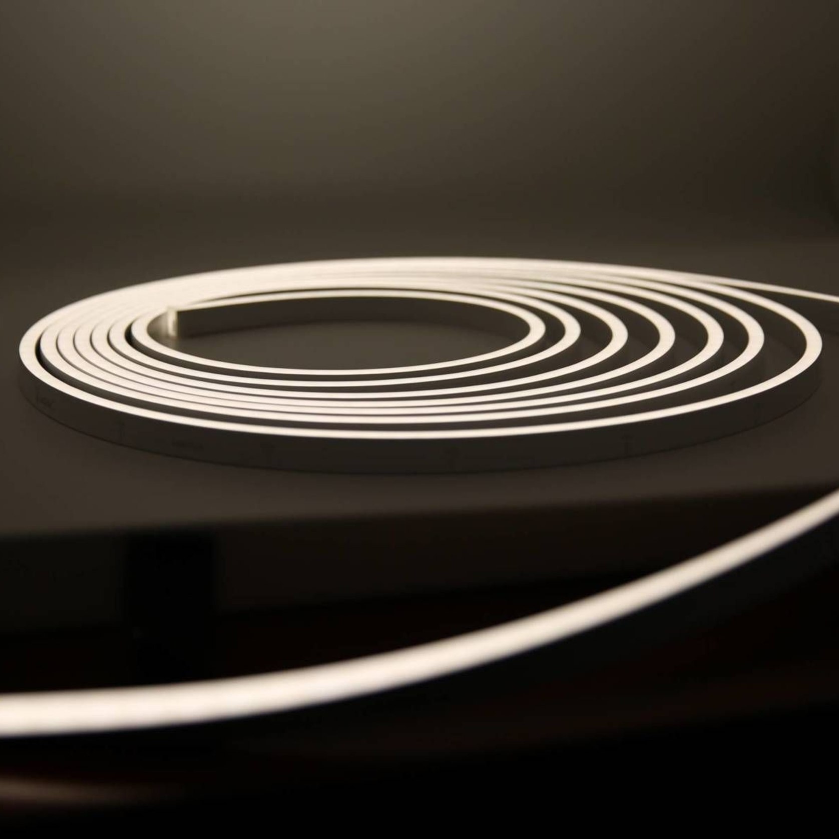 Cobra Snake Light | ArchiPro AU