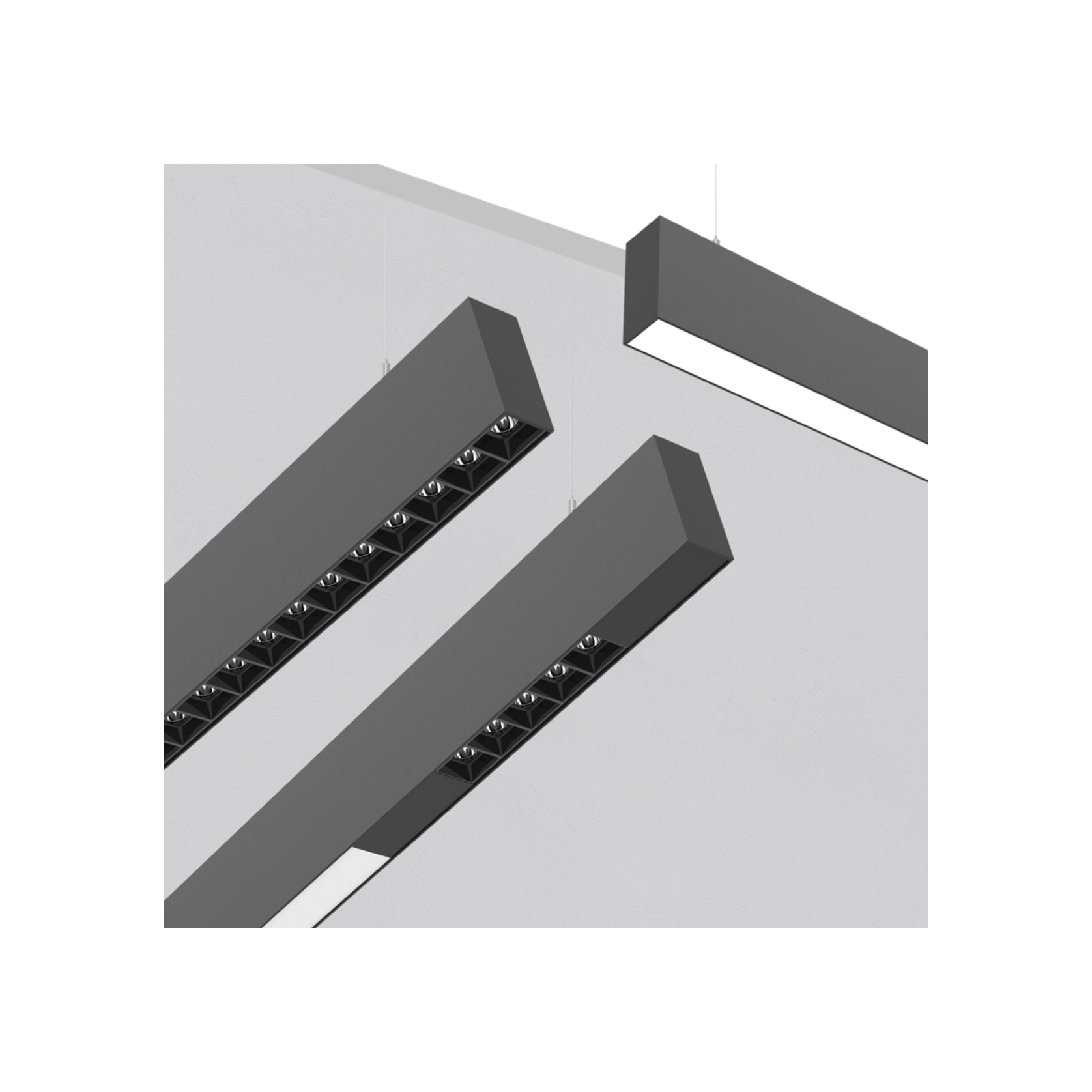 Morph-30-SUS | ArchiPro AU